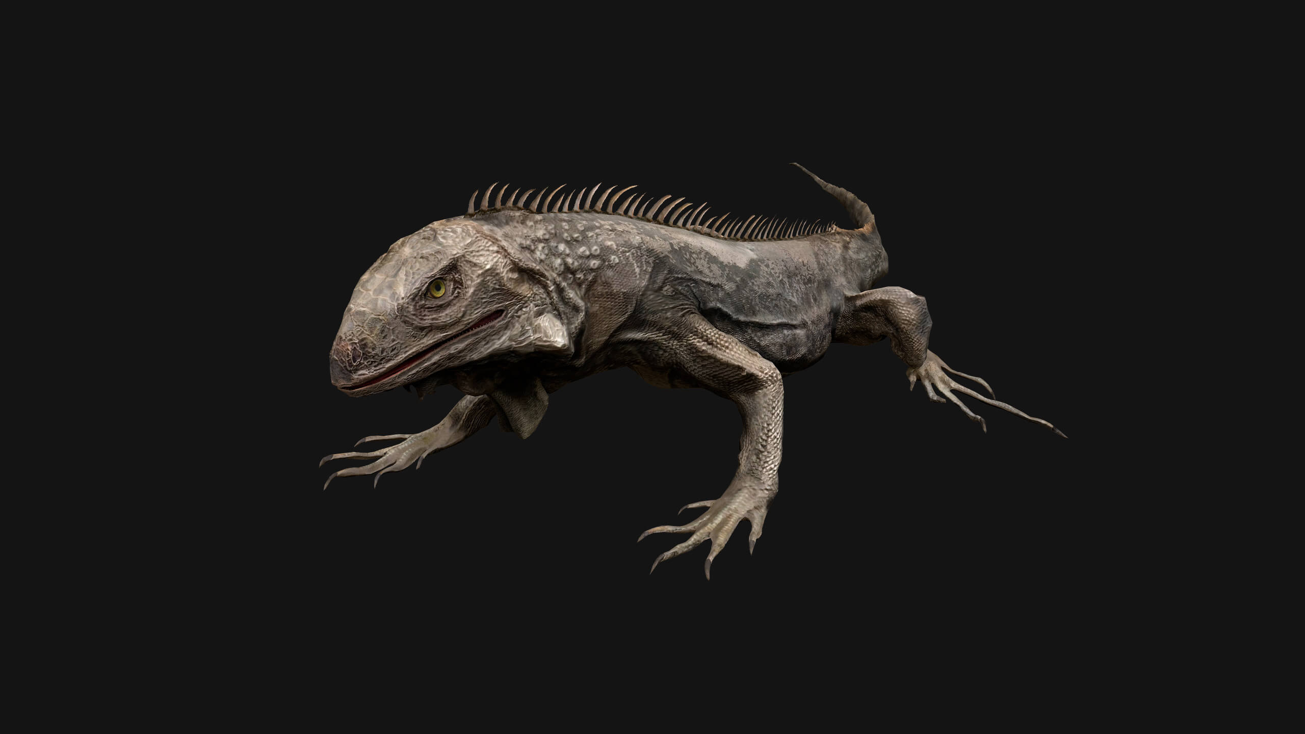 Iguana Reptile Animated - 3D Model by Dereza