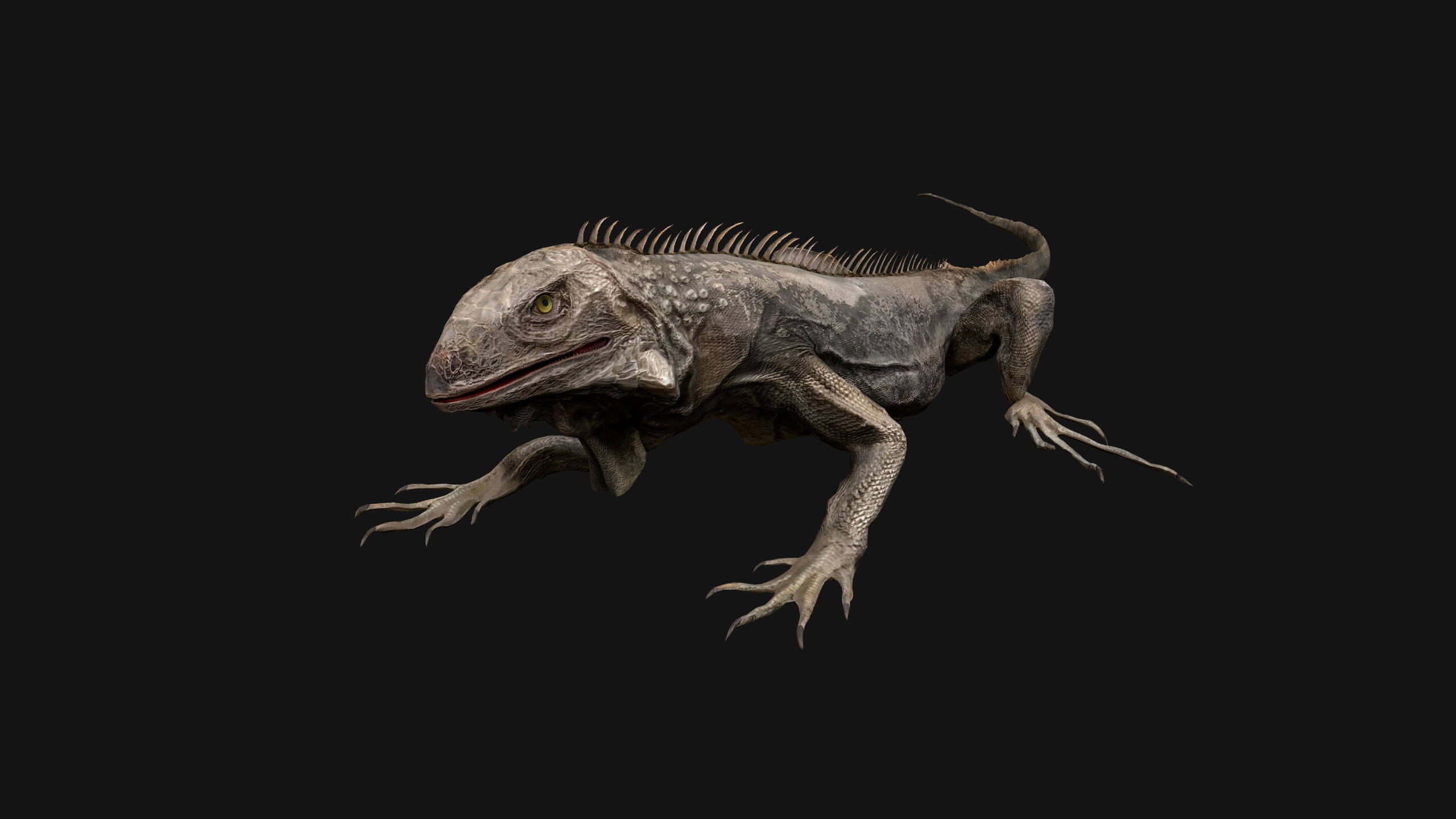 Iguana Reptile Animated - 3D Model by Dereza
