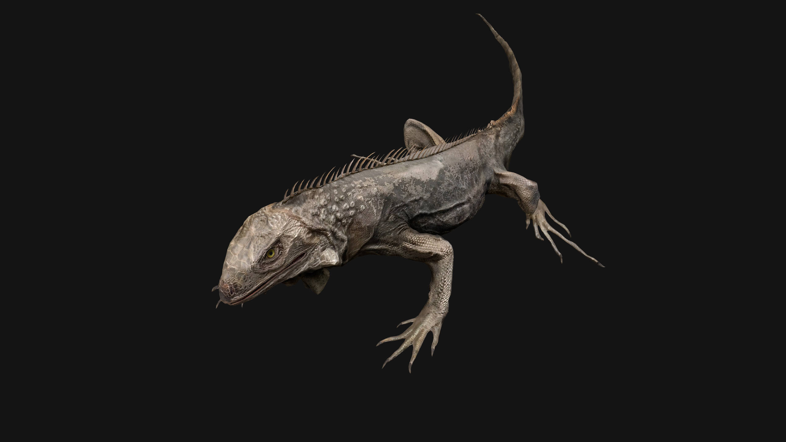 Iguana Reptile Animated - 3D Model by Dereza
