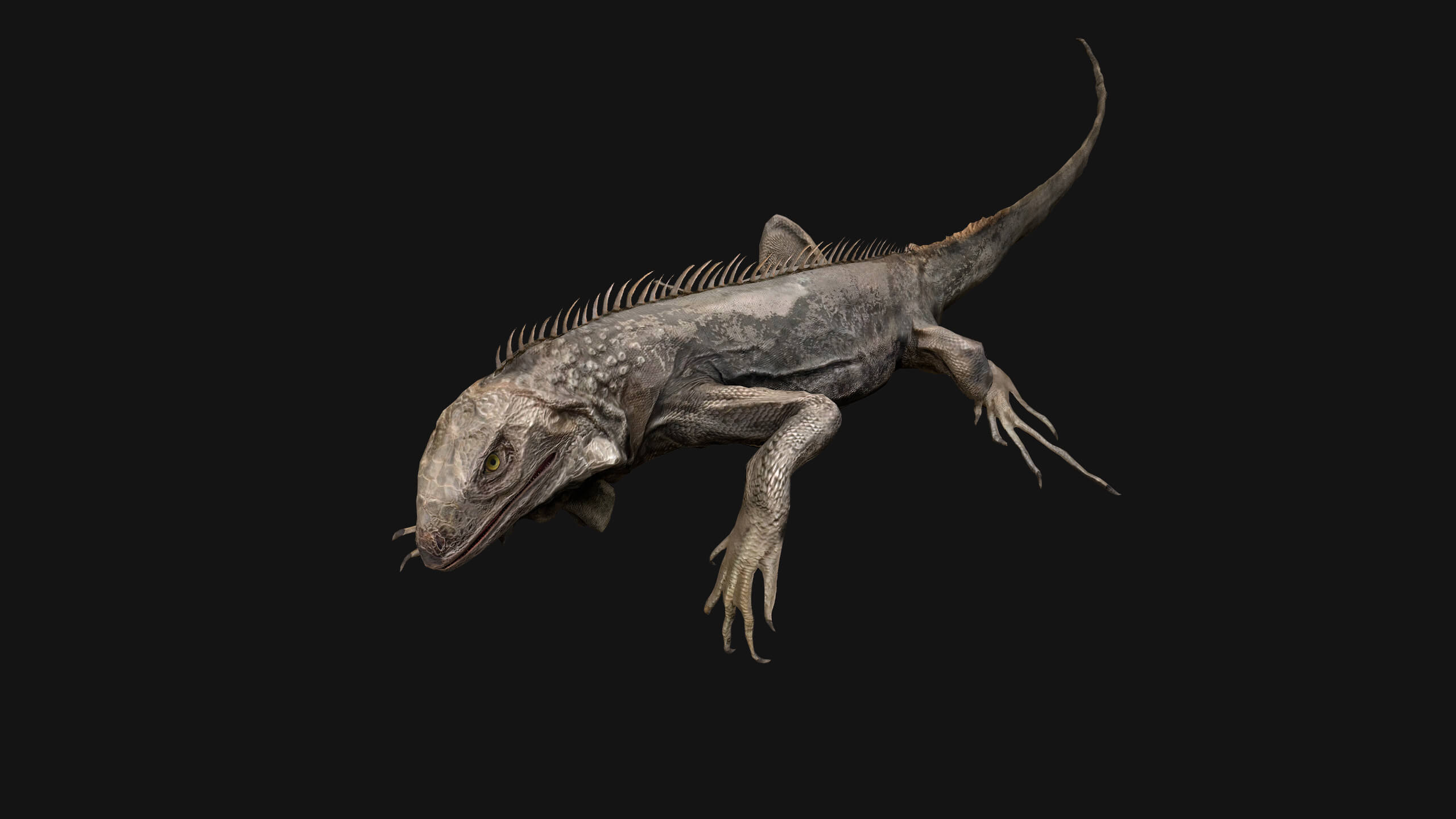 Iguana Reptile Animated - 3D Model by Dereza