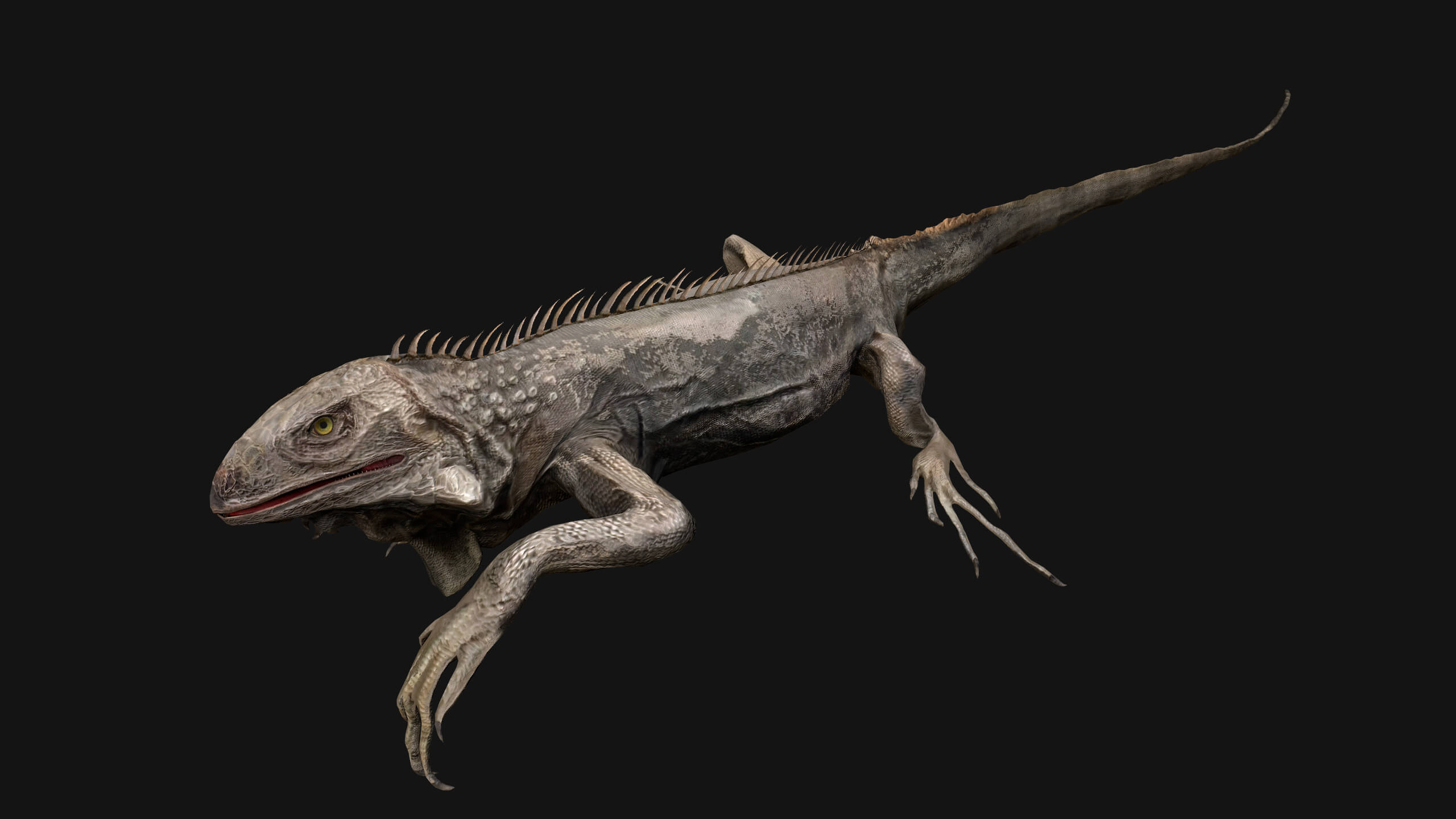 Iguana Reptile Animated - 3D Model by Dereza