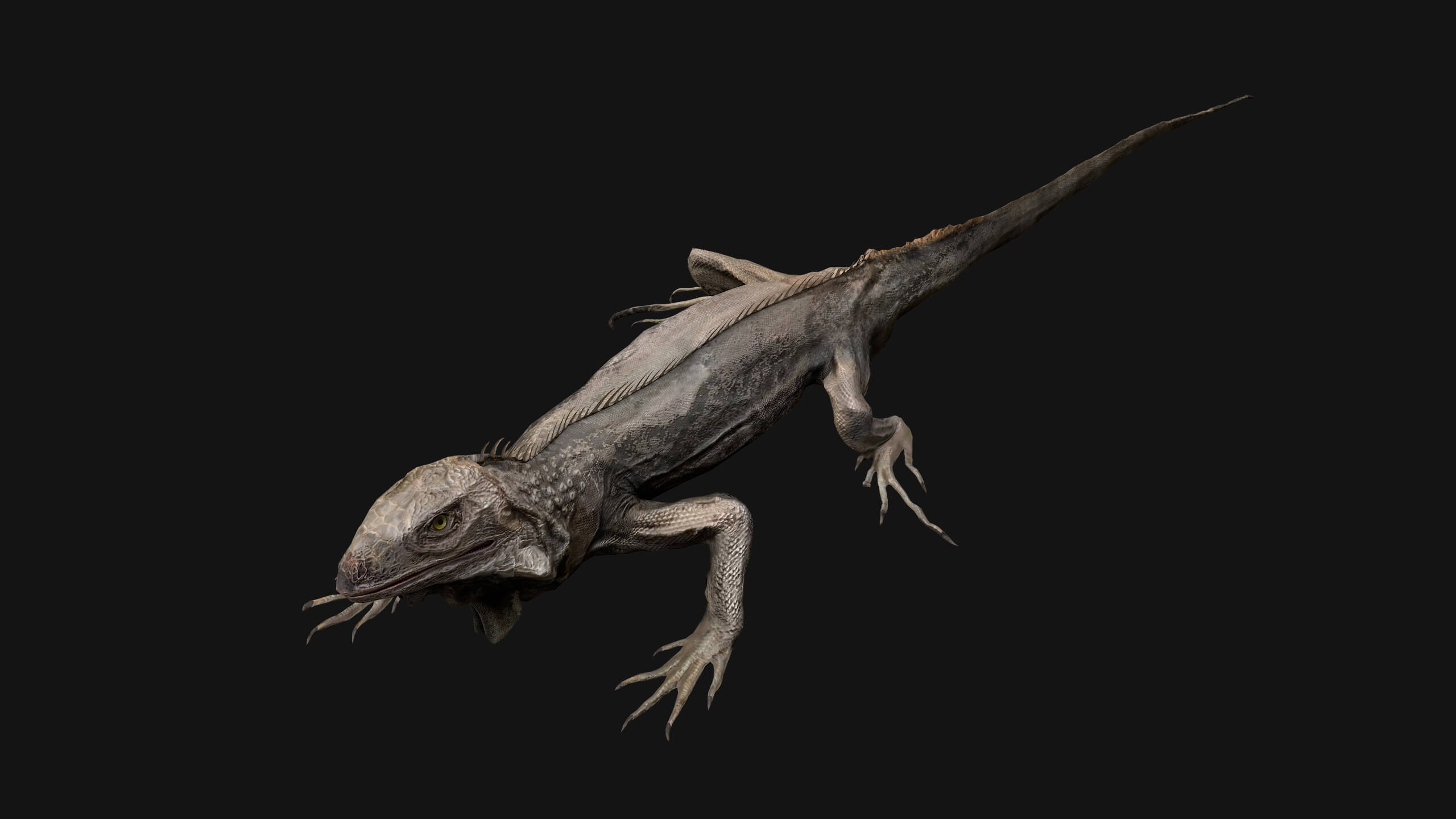 Iguana Reptile Animated - 3D Model by Dereza