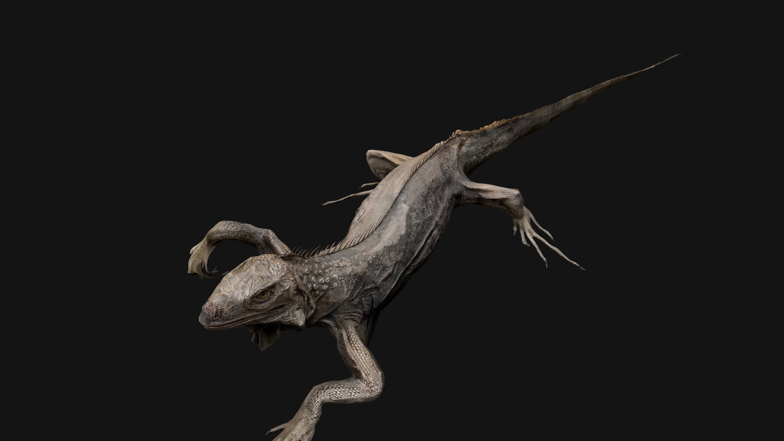 Iguana Reptile Animated - 3D Model by Dereza