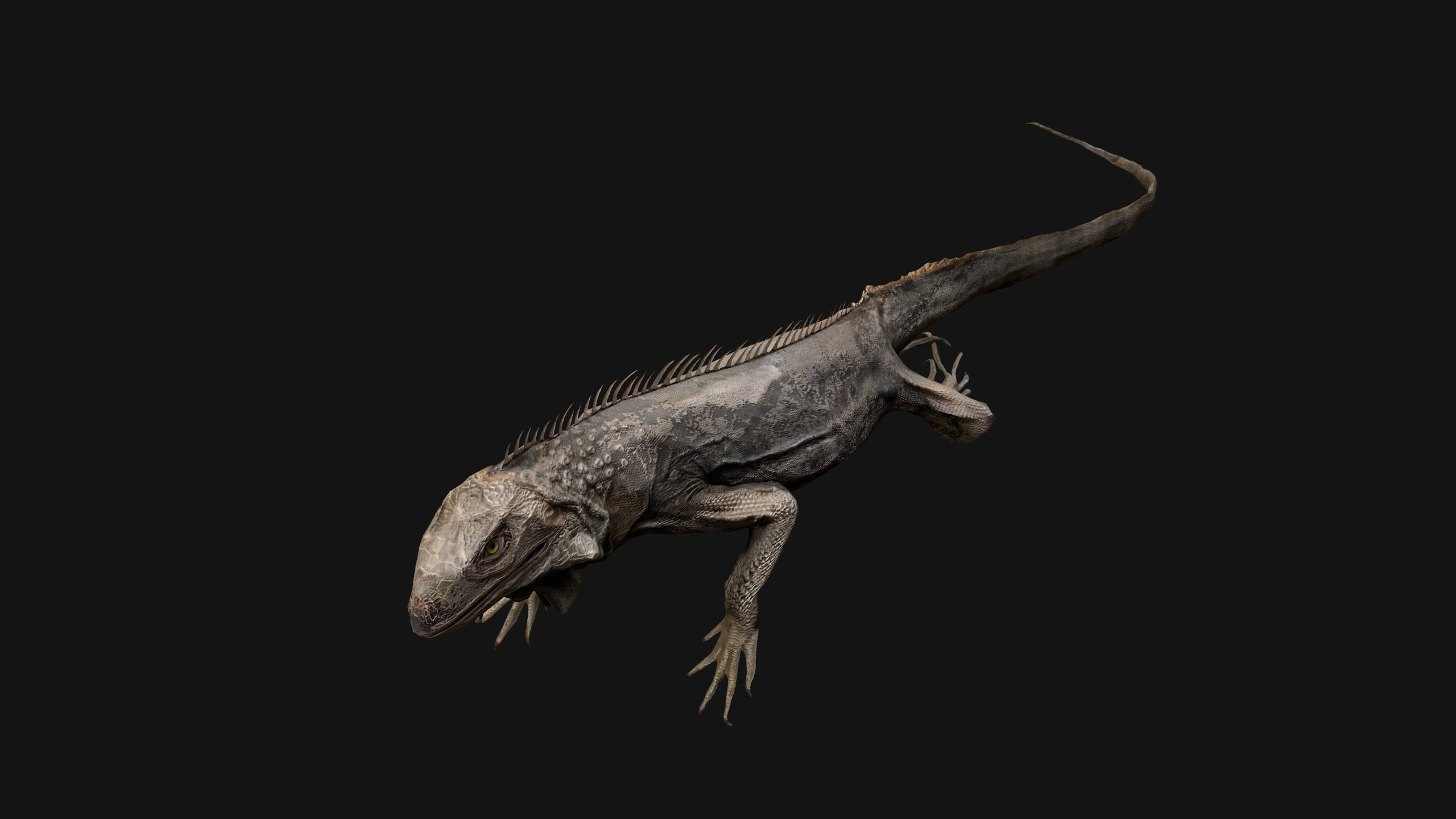 Iguana Reptile Animated - 3D Model by Dereza