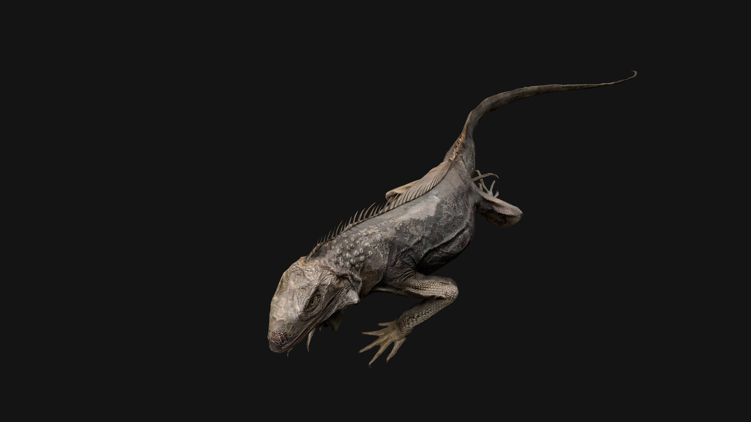 Iguana Reptile Animated - 3D Model by Dereza