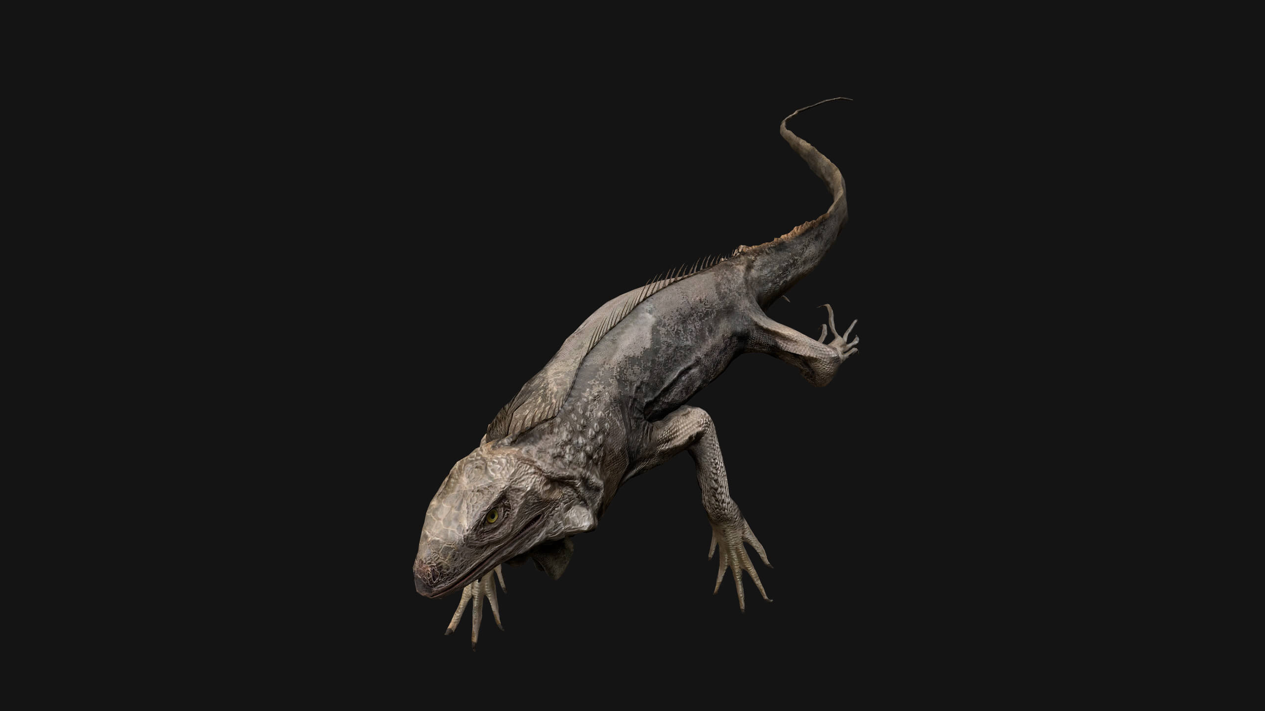 Iguana Reptile Animated - 3D Model by Dereza