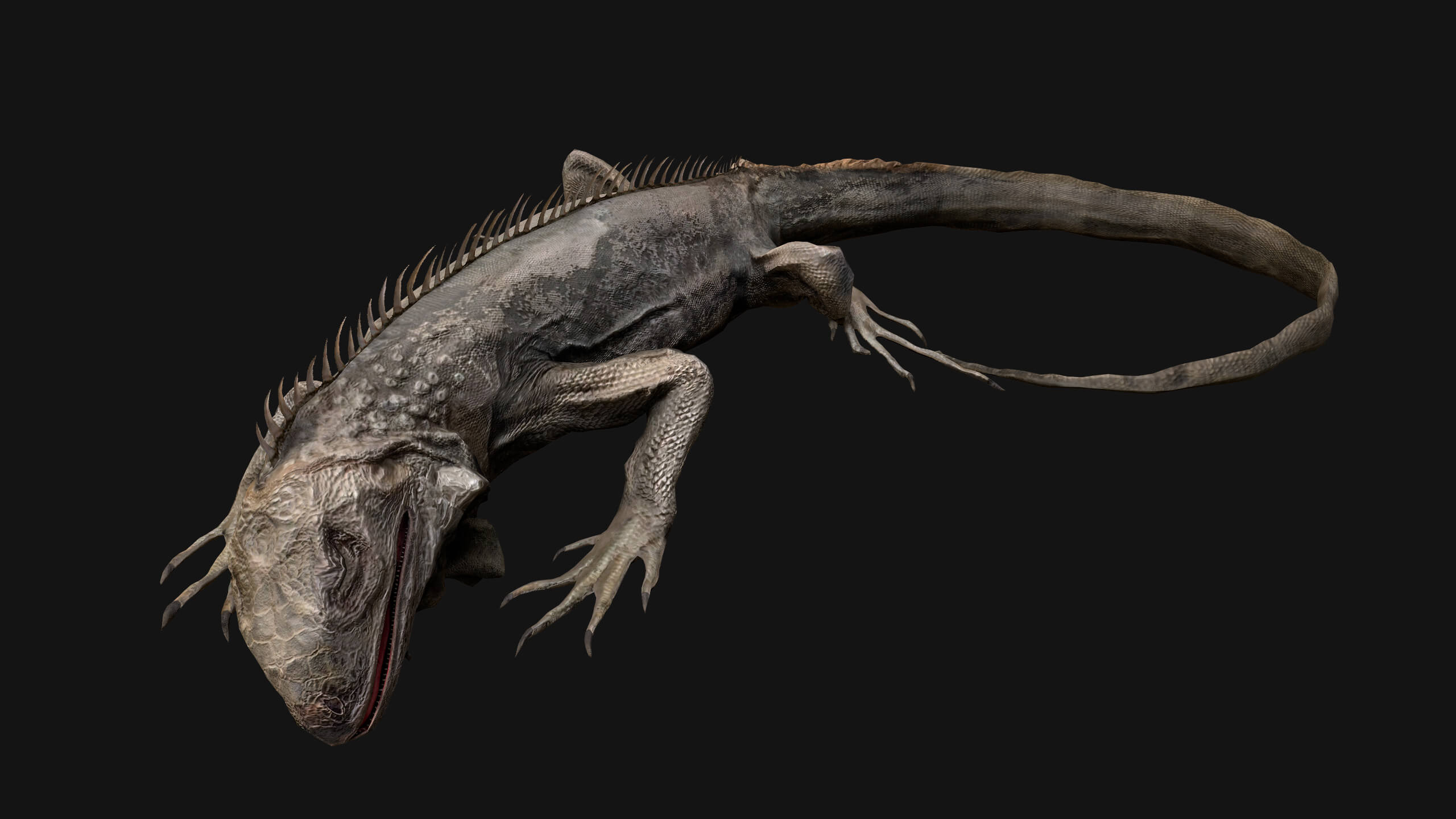 Iguana Reptile Animated - 3D Model by Dereza