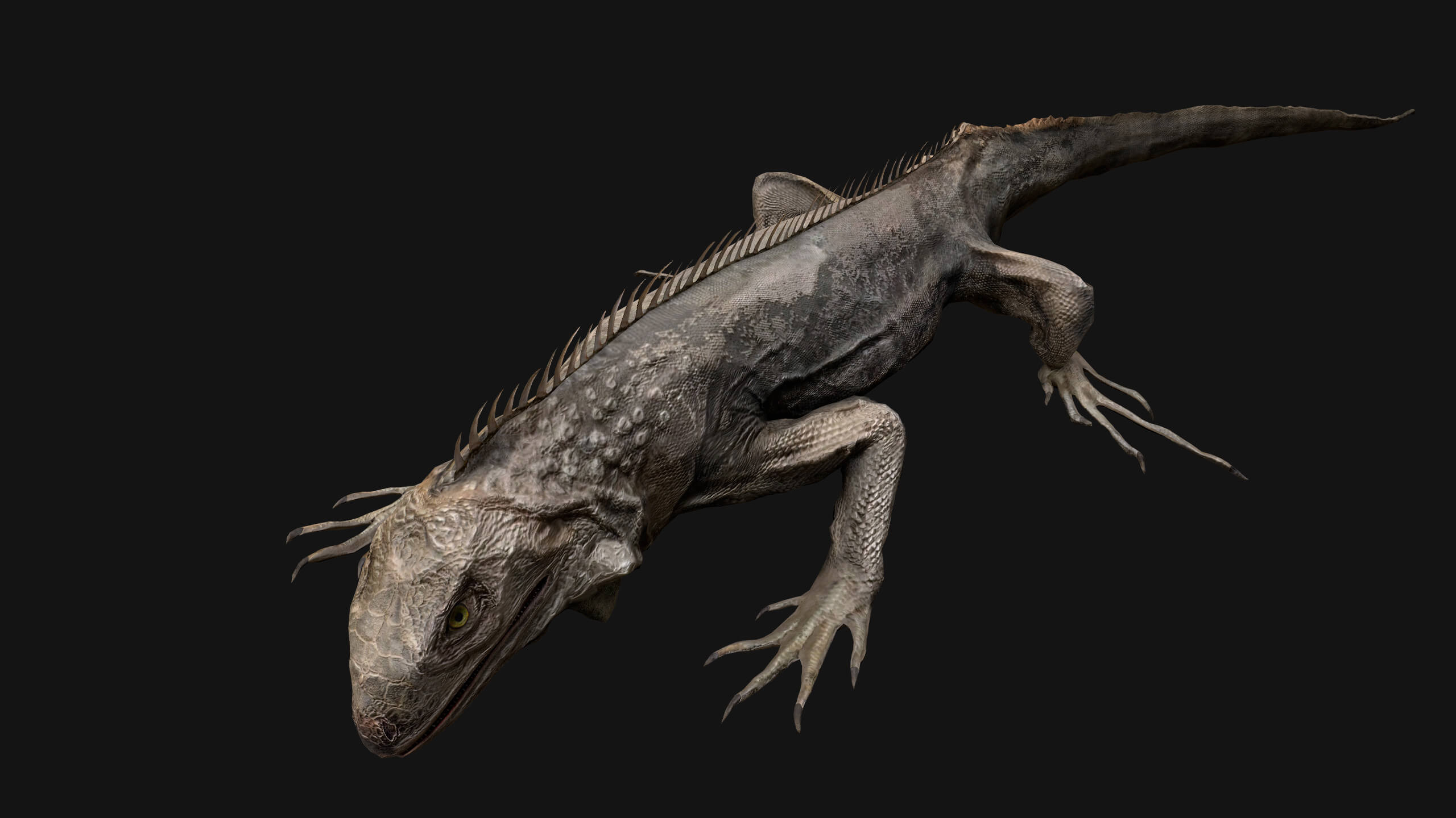 Iguana Reptile Animated - 3D Model by Dereza