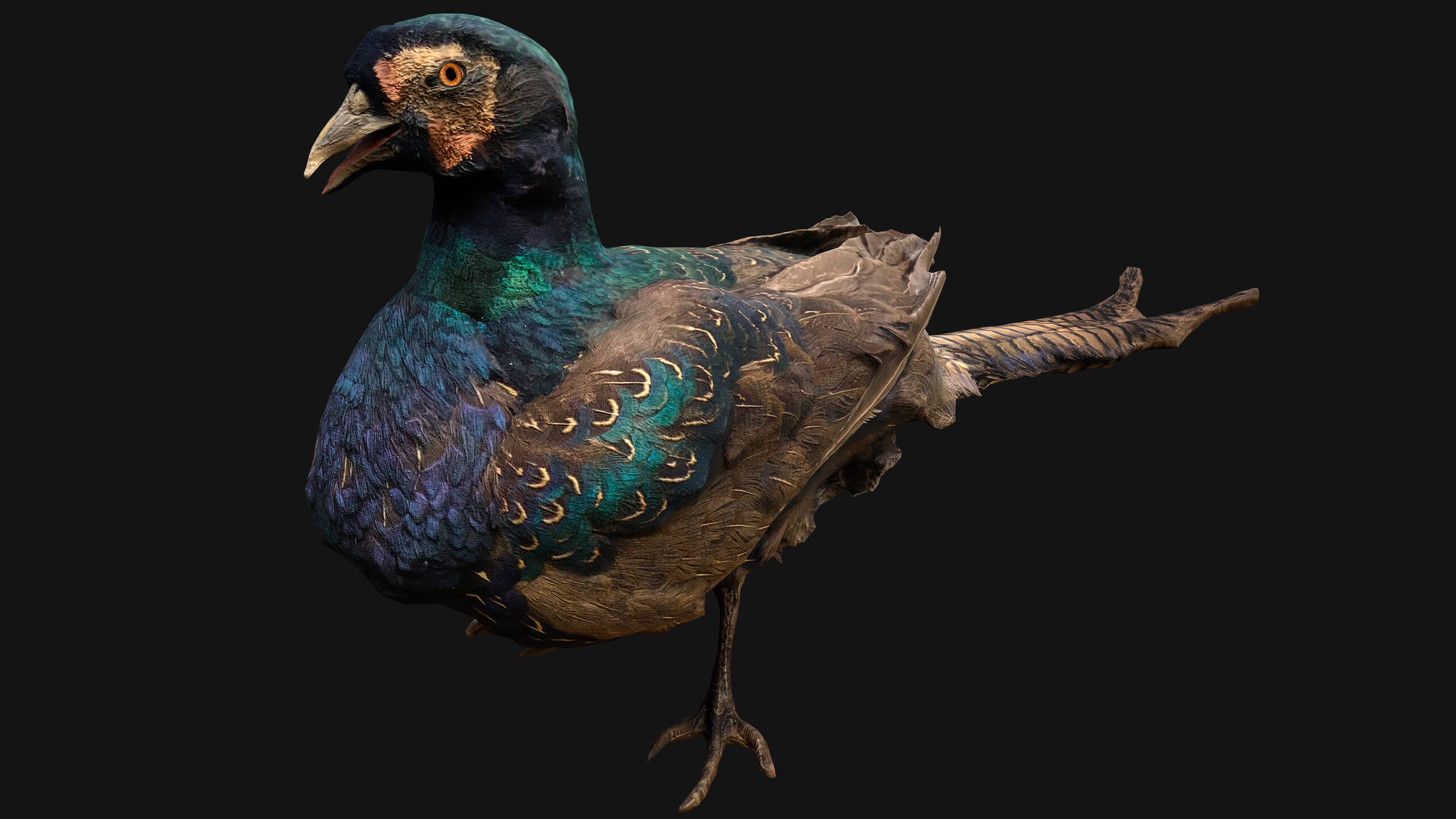 Pheasant Bird - 3D Model by Dereza