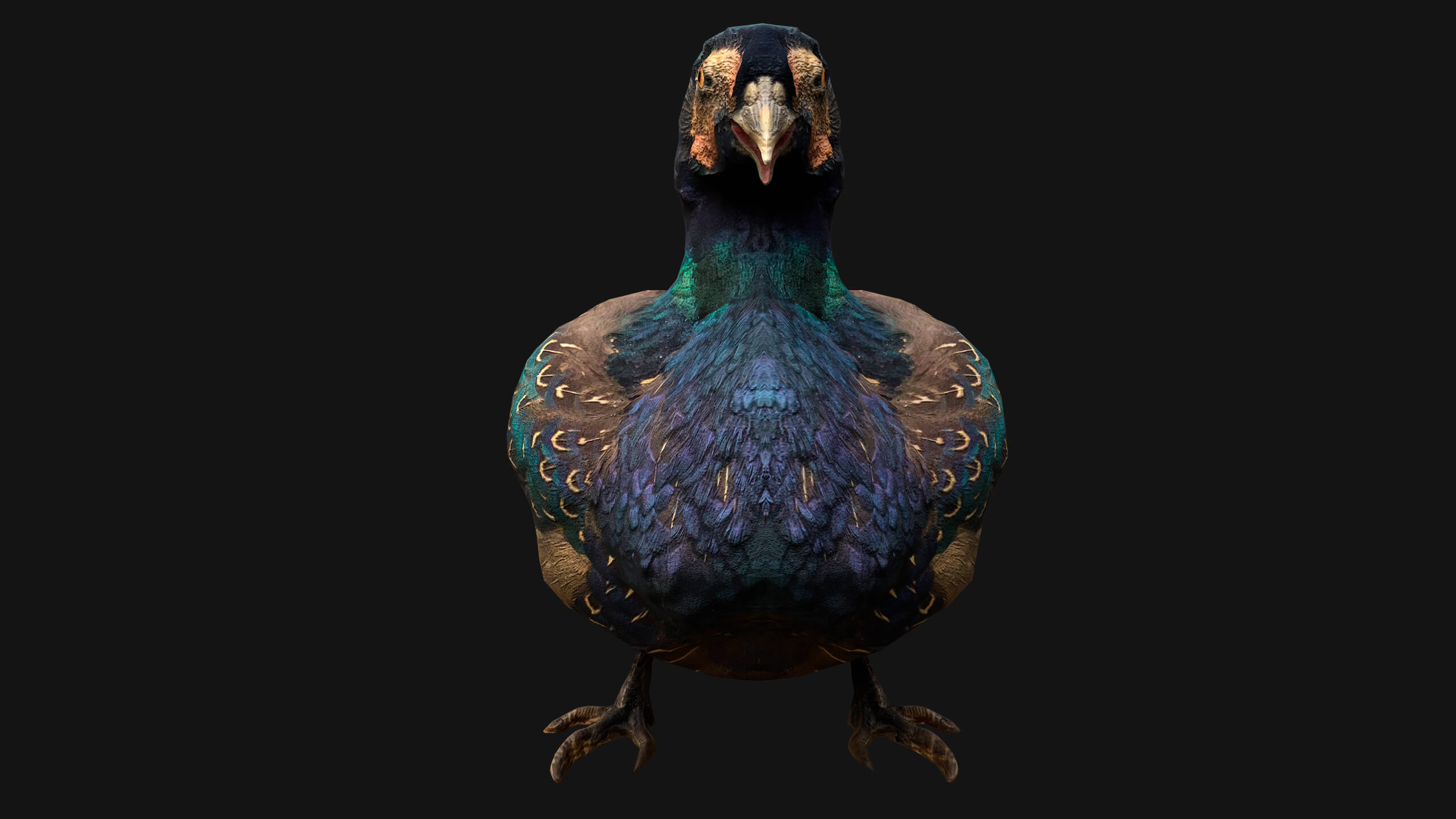Pheasant Bird - 3D Model by Dereza