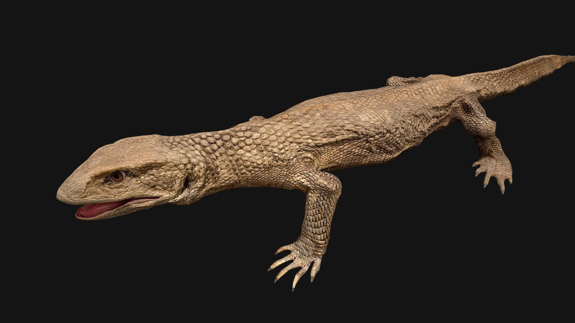 Reptile Pack Crocodile Iguana Turtle Varanus - 3D Model by Dereza