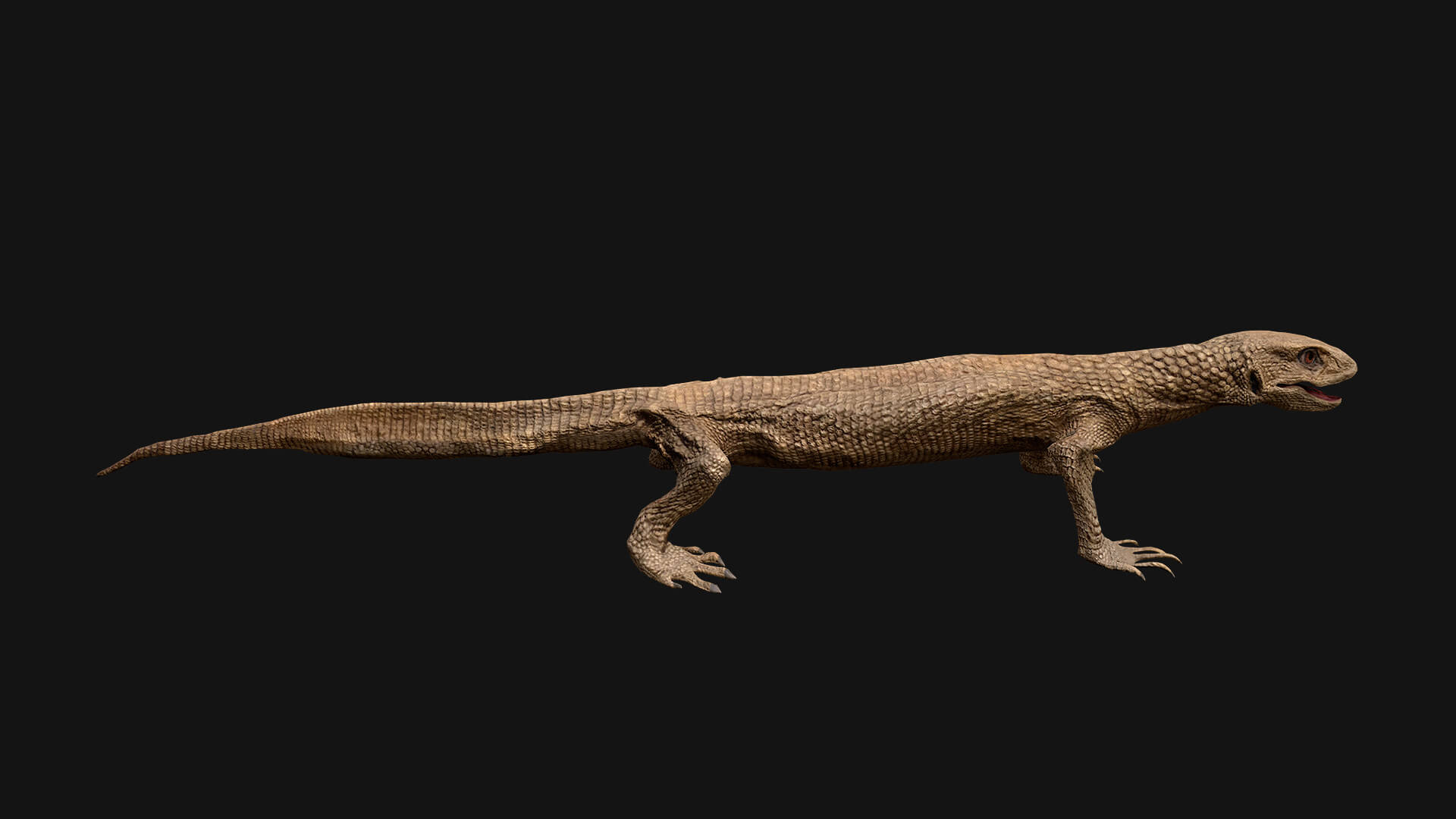 Reptile Pack Crocodile Iguana Turtle Varanus - 3D Model by Dereza