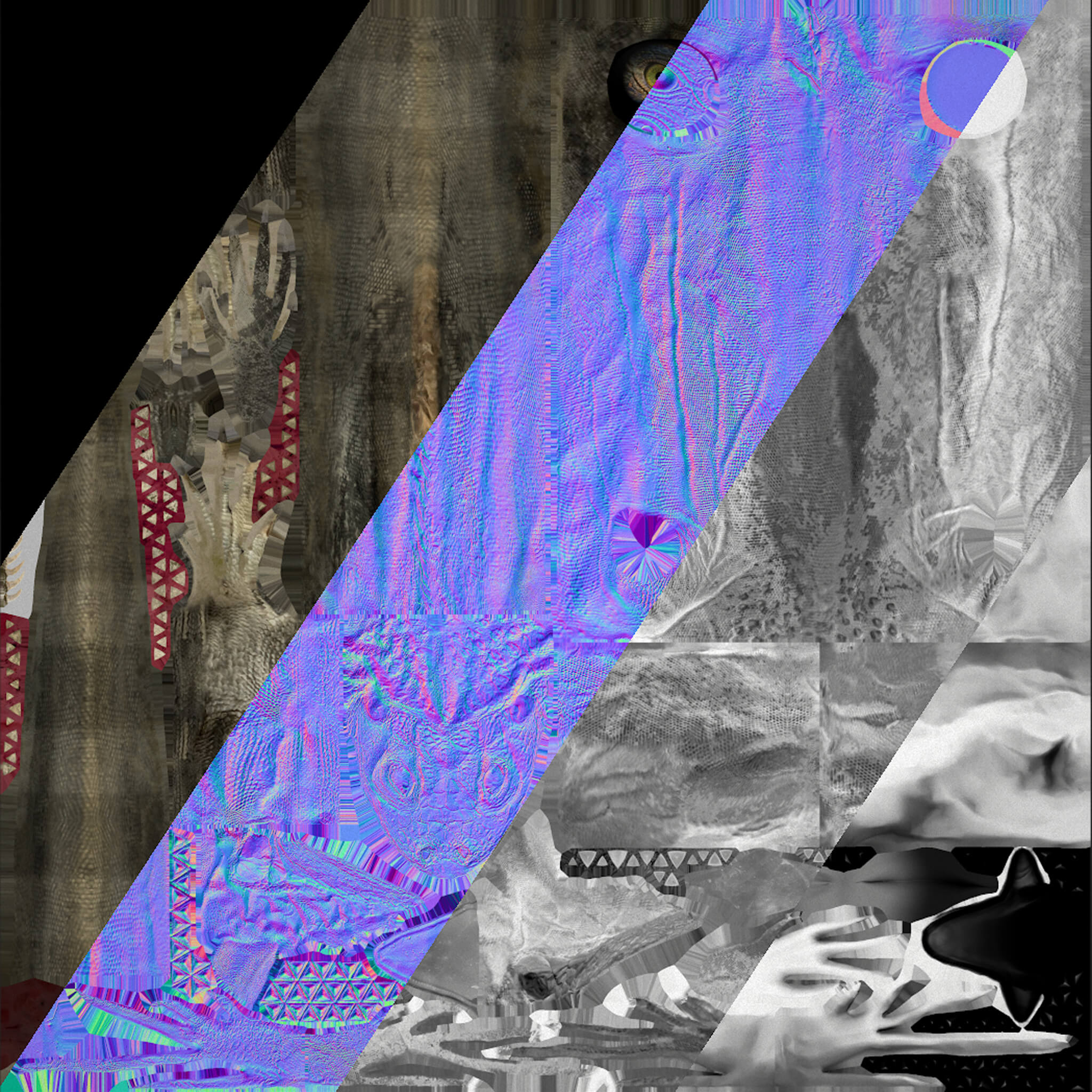 Reptile Pack Crocodile Iguana Turtle Varanus - 3D Model by Dereza