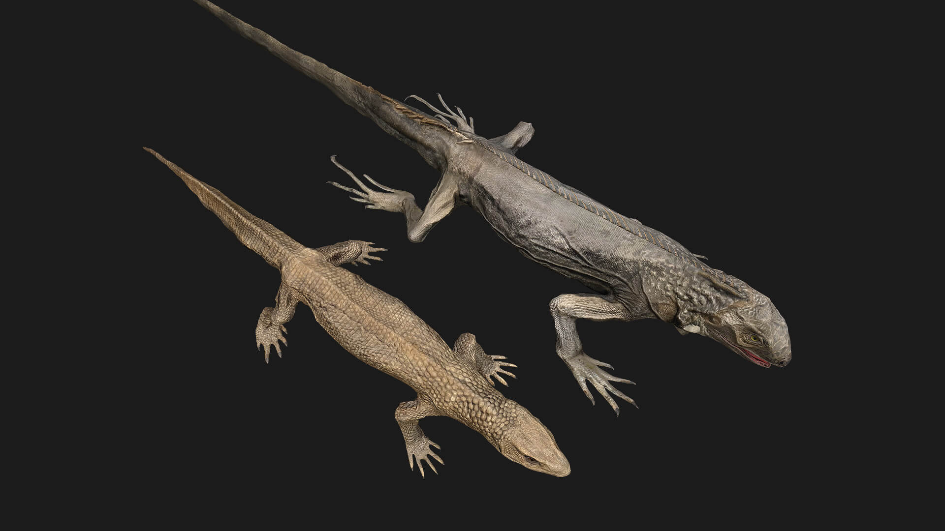 Reptiles Iguana and lizard - 3D Model by Dereza