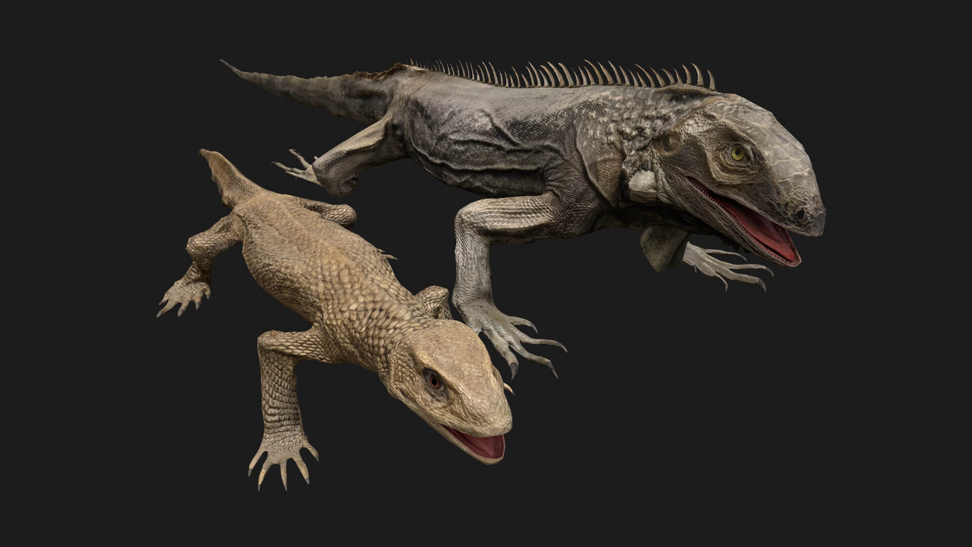 Reptiles Iguana and lizard - 3D Model by Dereza