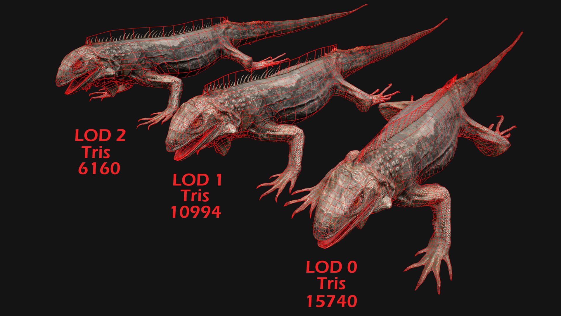 Reptiles Iguana and lizard - 3D Model by Dereza