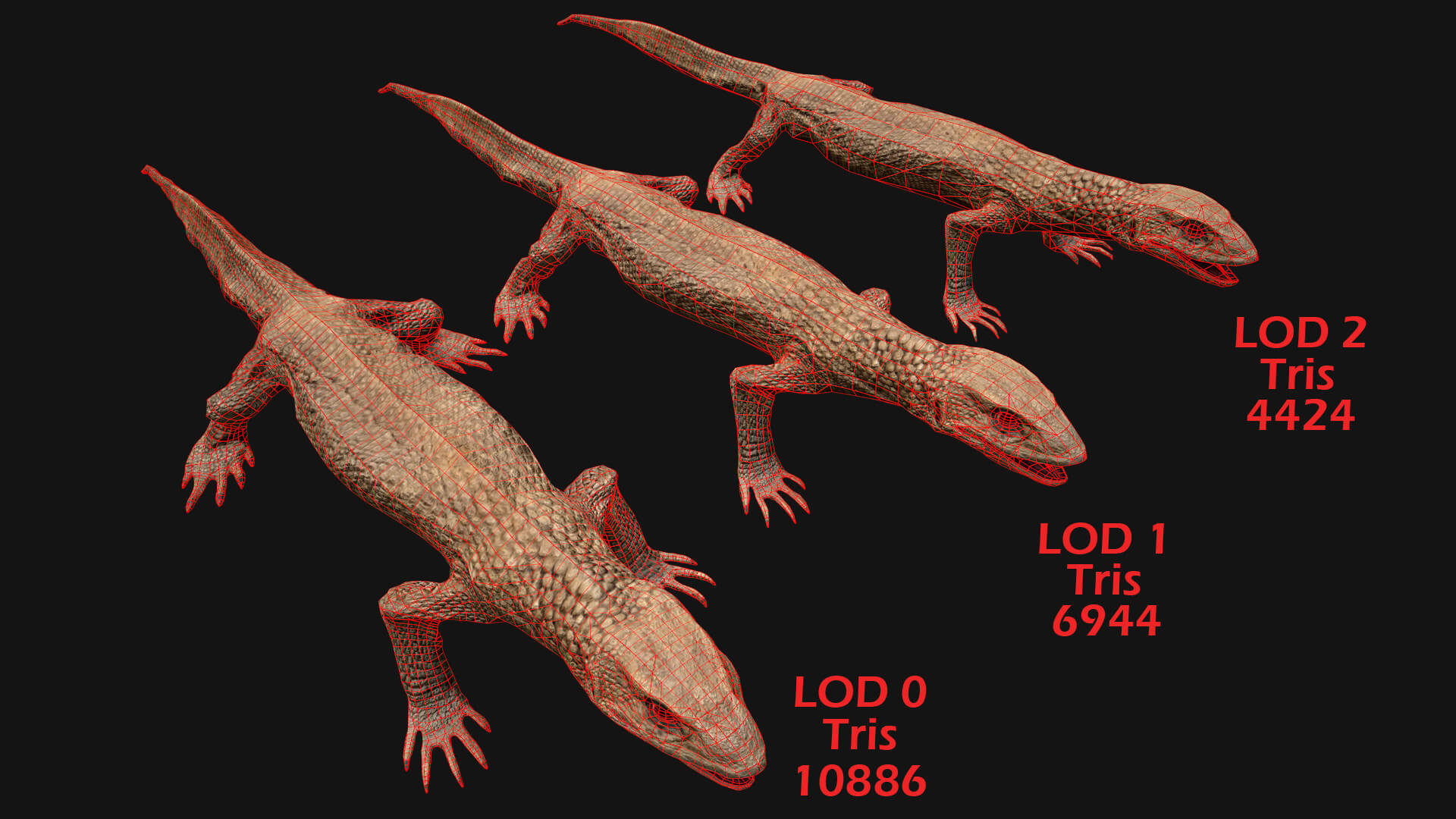 Reptiles Iguana and lizard - 3D Model by Dereza