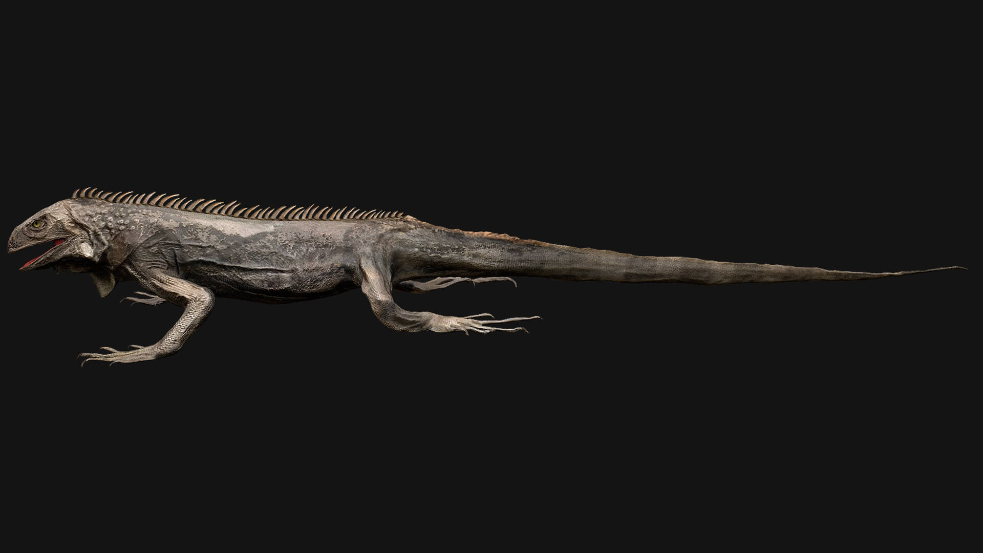 Reptiles Iguana and lizard - 3D Model by Dereza