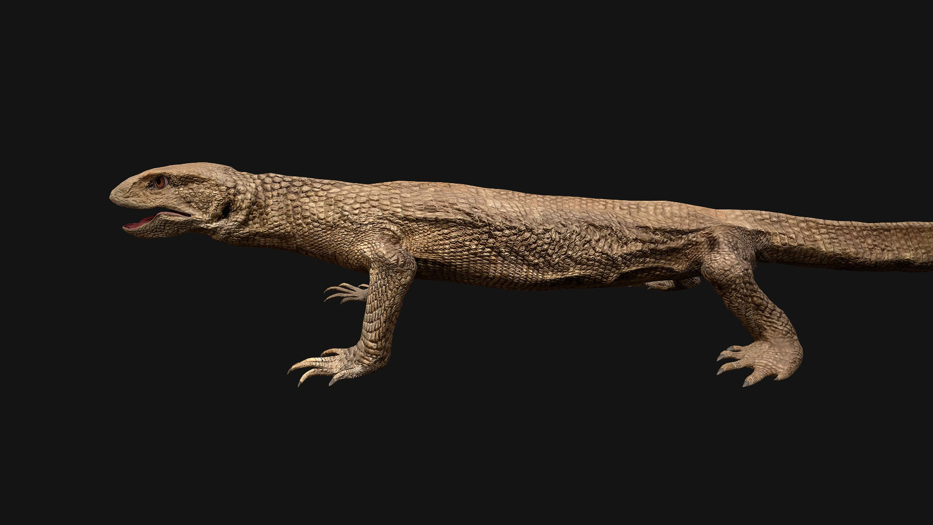Reptiles Iguana and lizard - 3D Model by Dereza