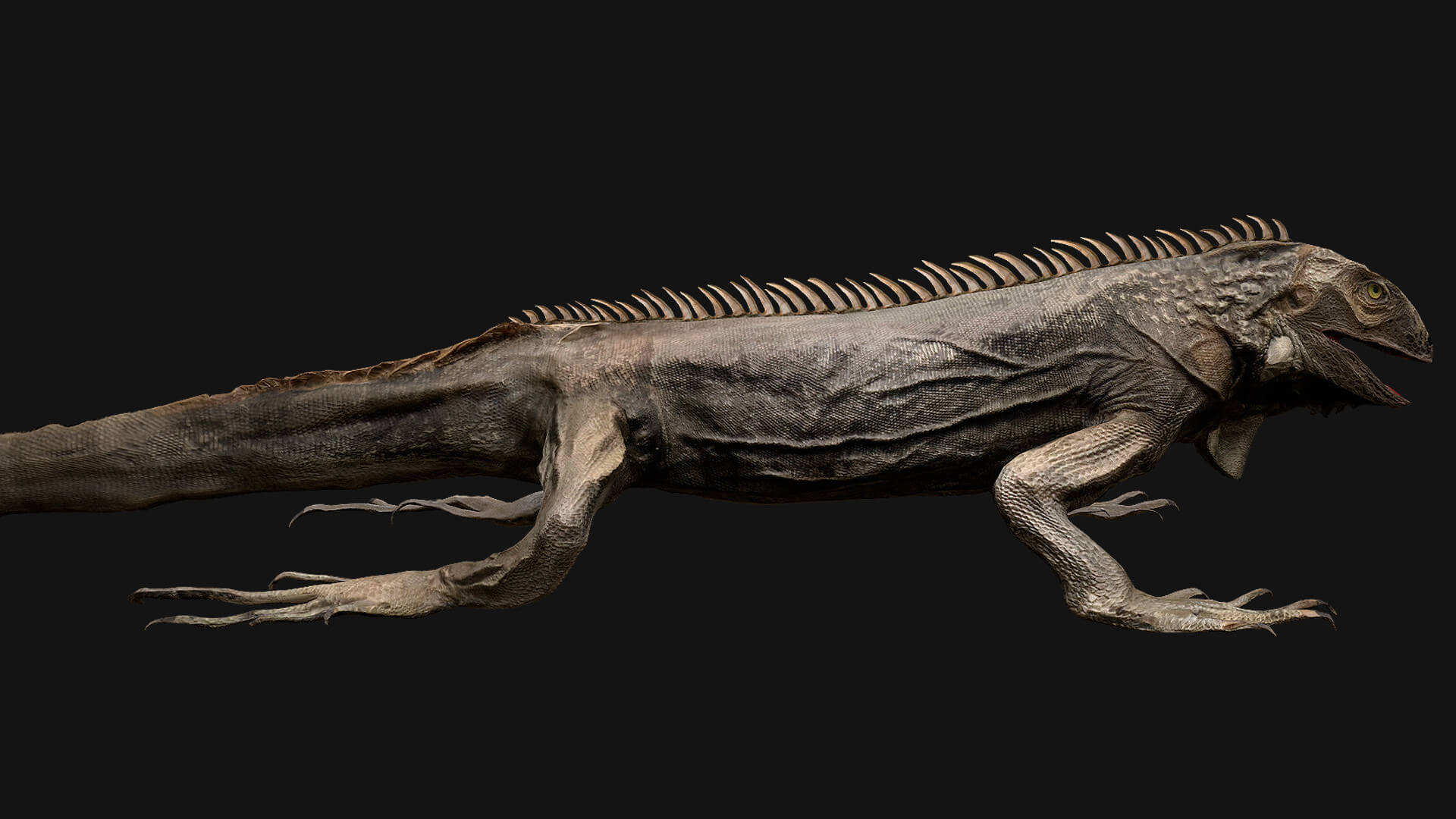 Reptiles Iguana and lizard - 3D Model by Dereza