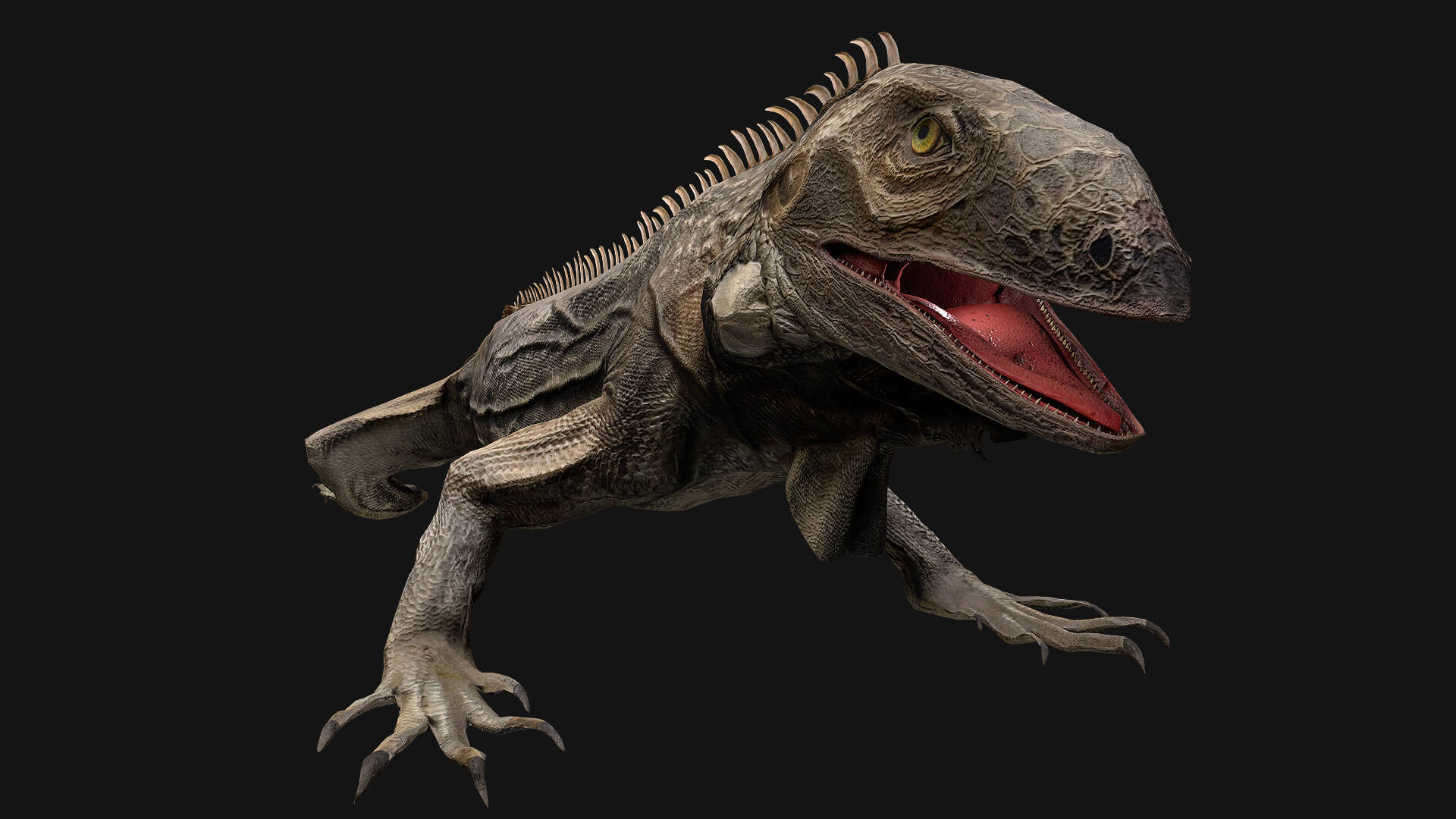 Reptiles Iguana and lizard - 3D Model by Dereza