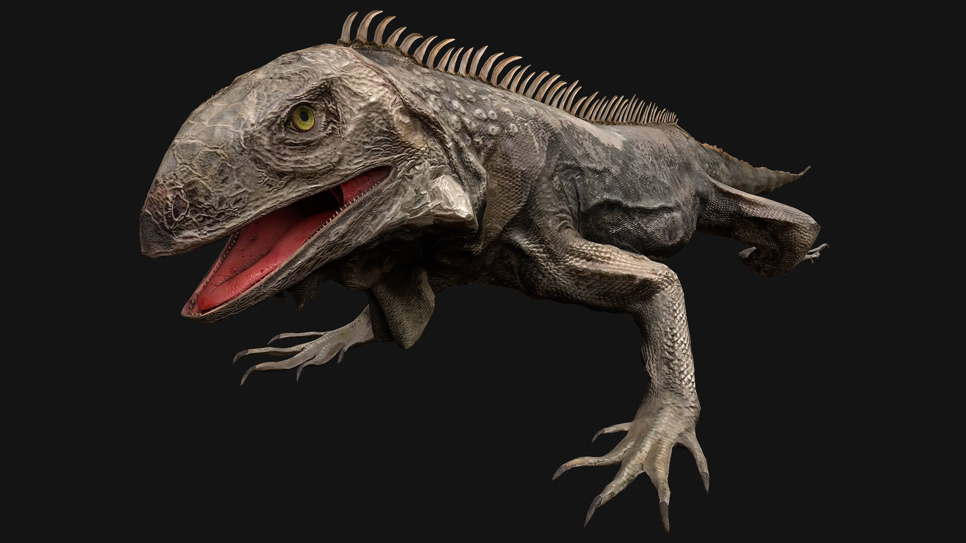 Reptiles Iguana and lizard - 3D Model by Dereza
