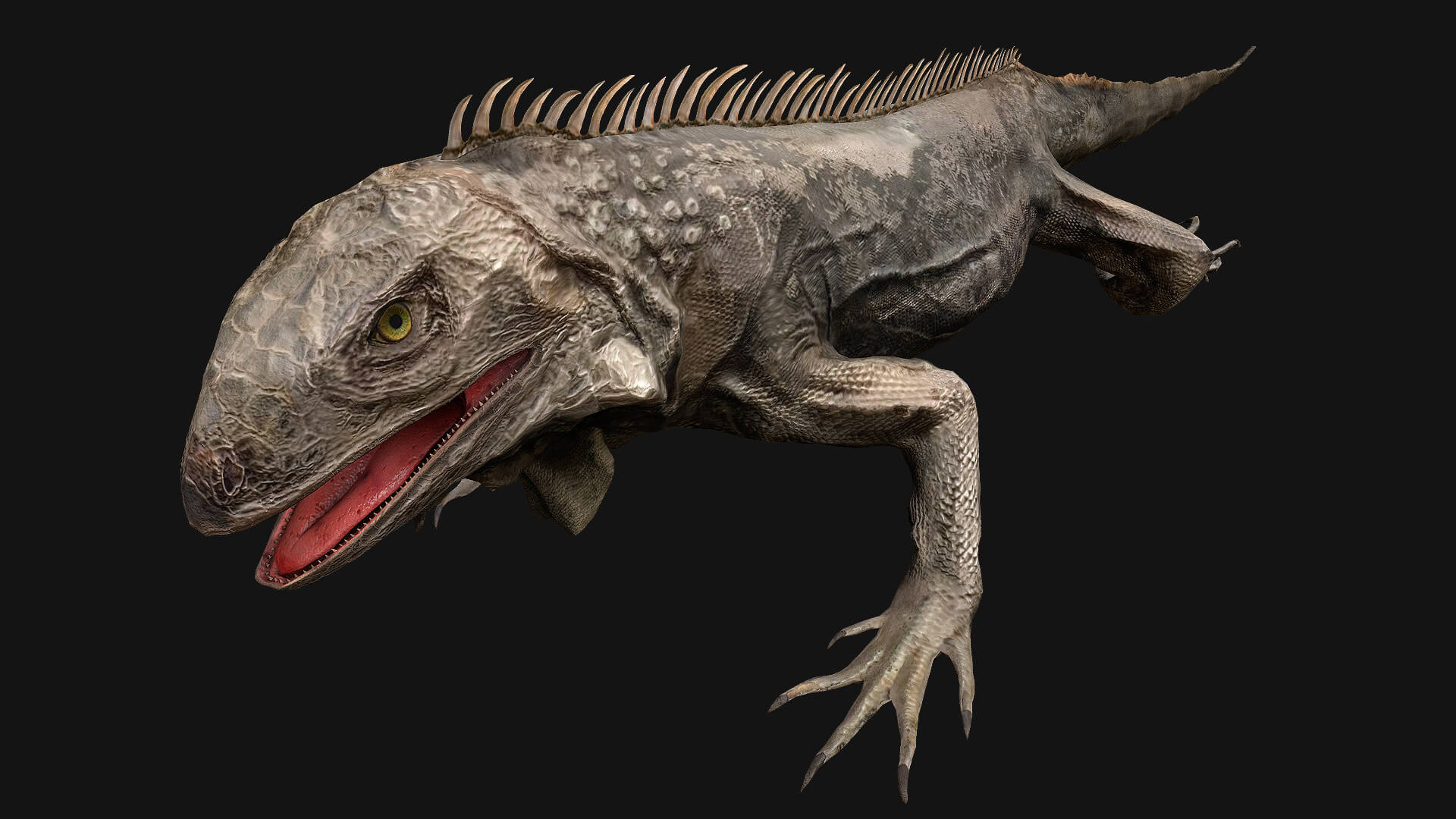 Reptiles Iguana and lizard - 3D Model by Dereza