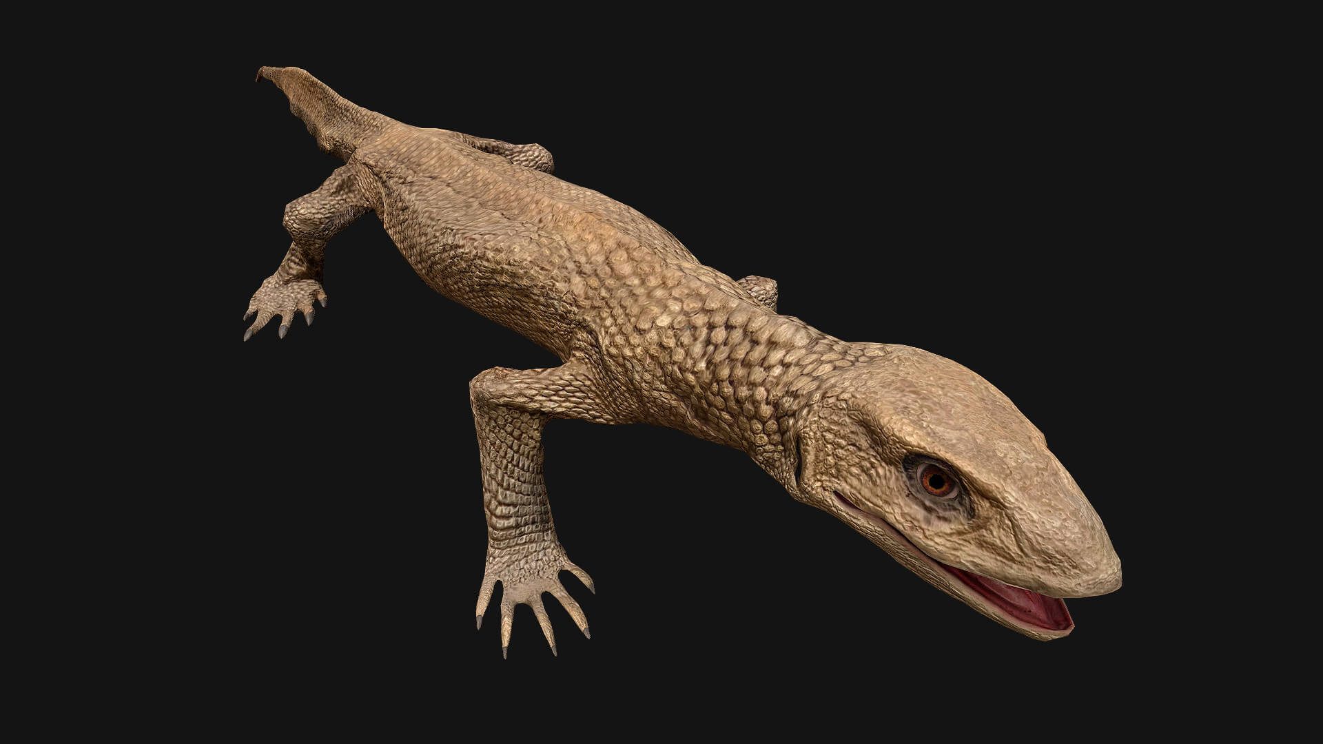 Reptiles Iguana and lizard - 3D Model by Dereza