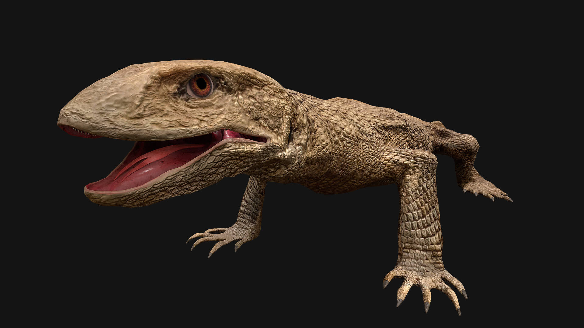 Reptiles Iguana and lizard - 3D Model by Dereza