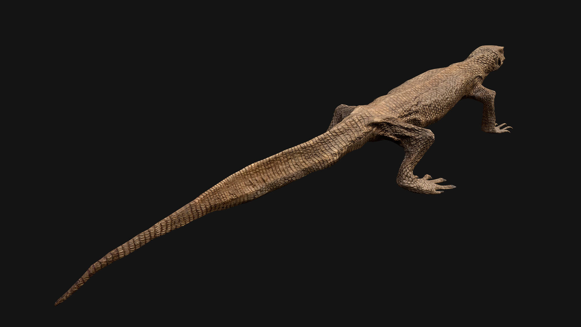 Reptiles Iguana and lizard - 3D Model by Dereza
