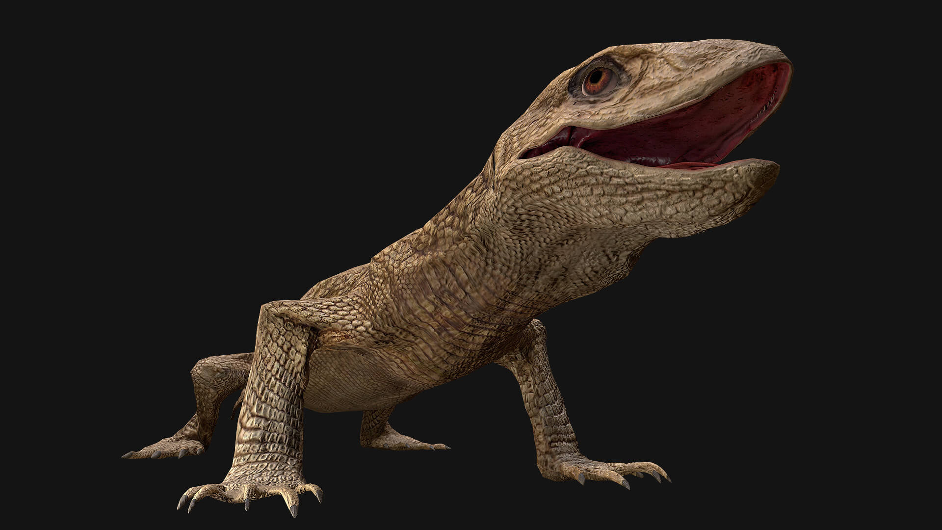 Reptiles Iguana and lizard - 3D Model by Dereza