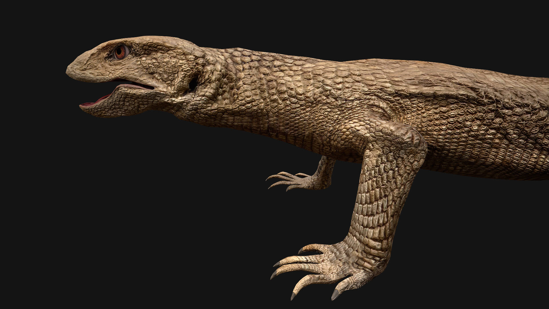 Reptiles Iguana and lizard - 3D Model by Dereza