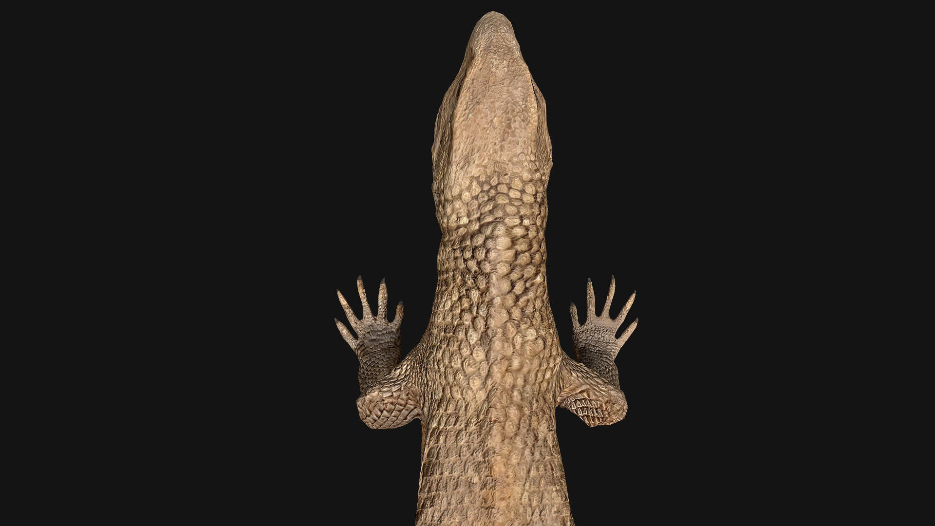 Reptiles Iguana and lizard - 3D Model by Dereza