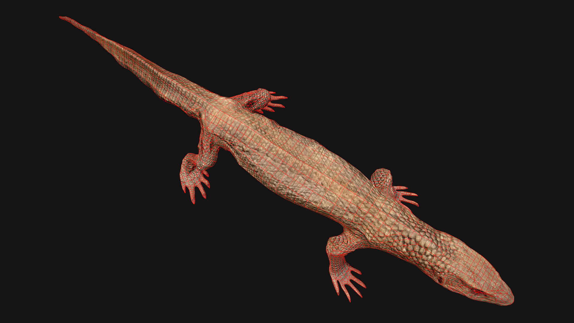 Reptiles Iguana and lizard - 3D Model by Dereza