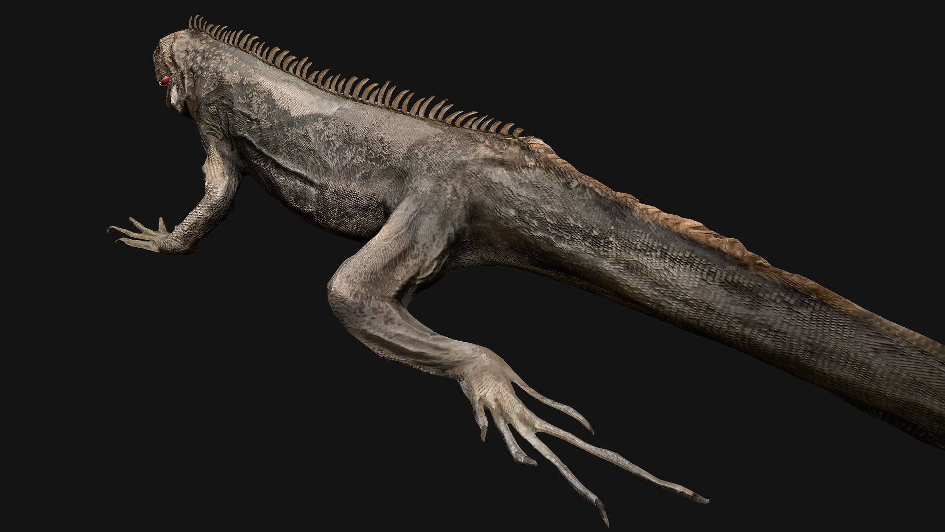 Reptiles Iguana and lizard - 3D Model by Dereza