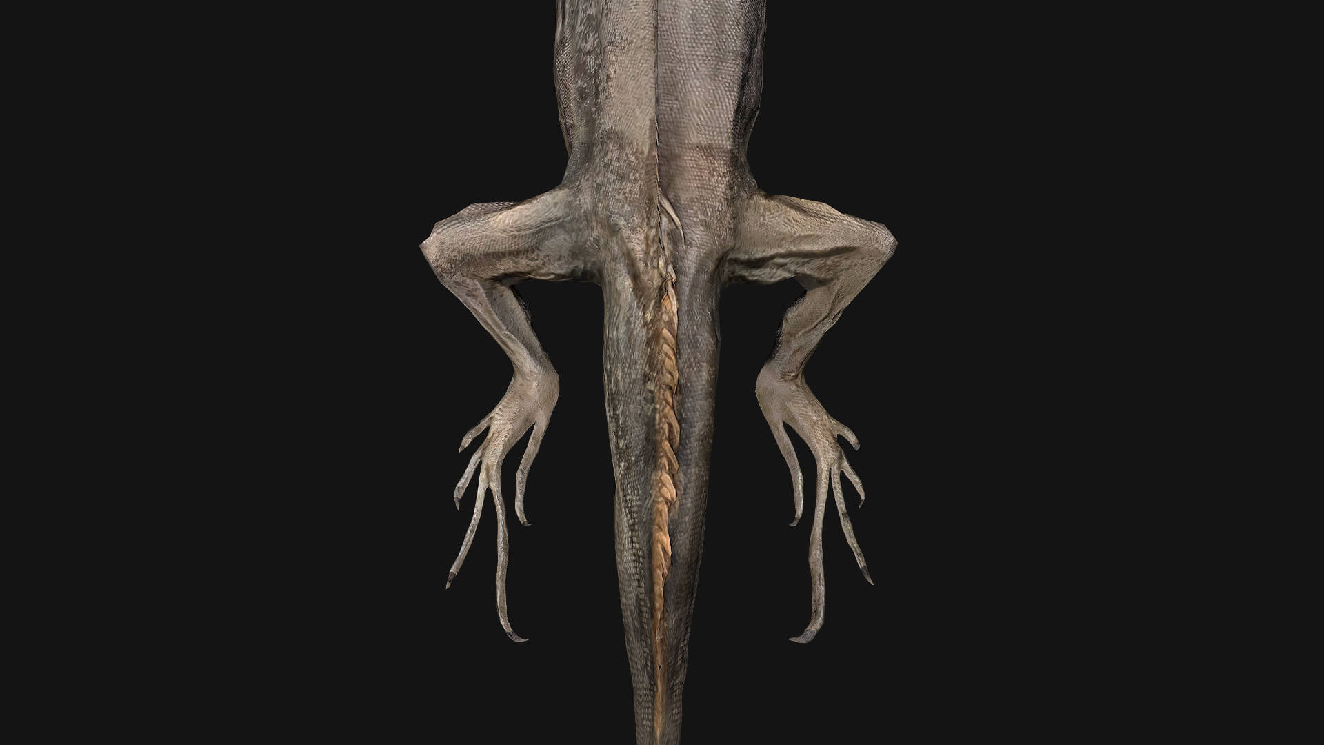 Reptiles Iguana and lizard - 3D Model by Dereza