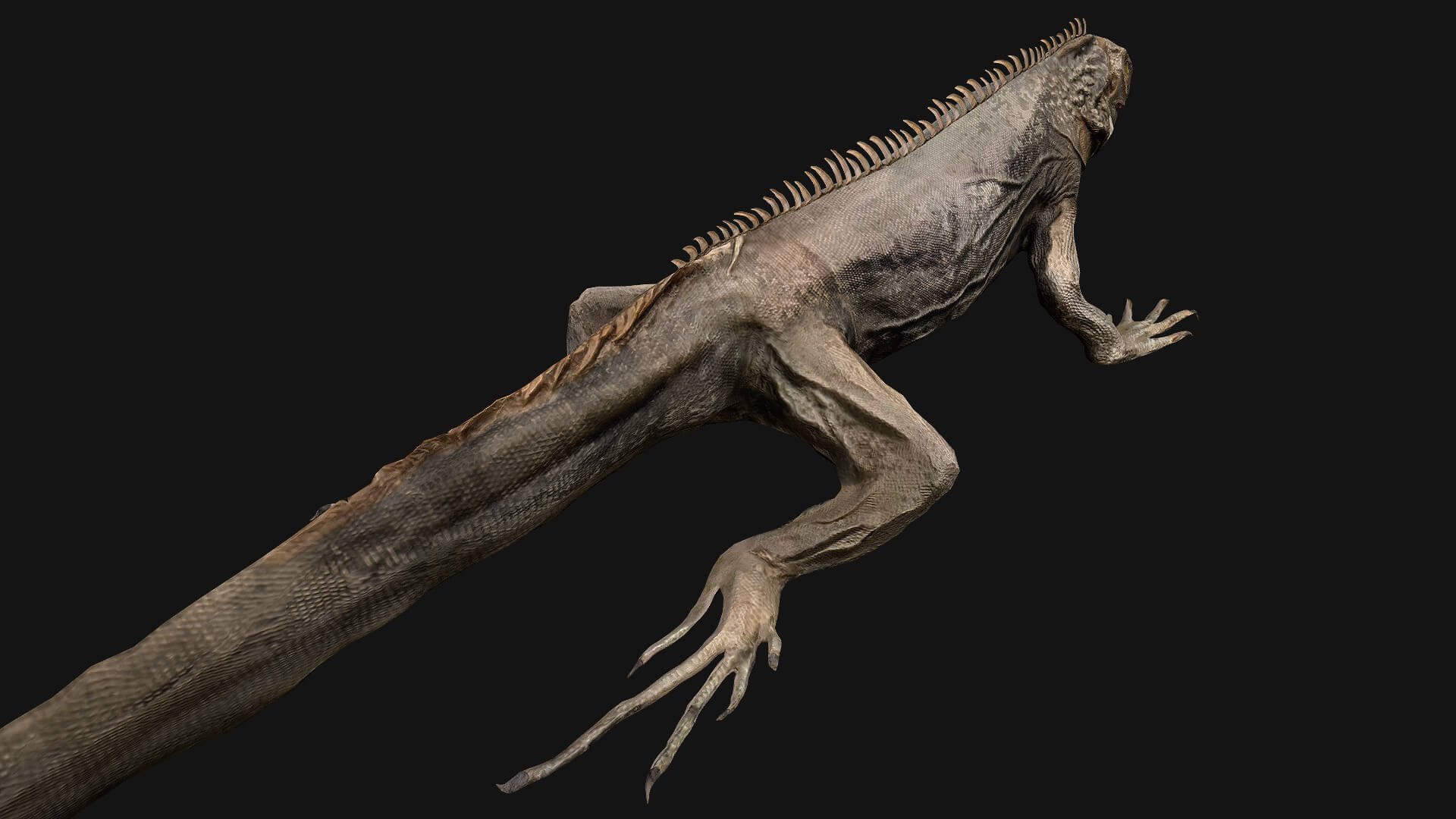 Reptiles Iguana and lizard - 3D Model by Dereza