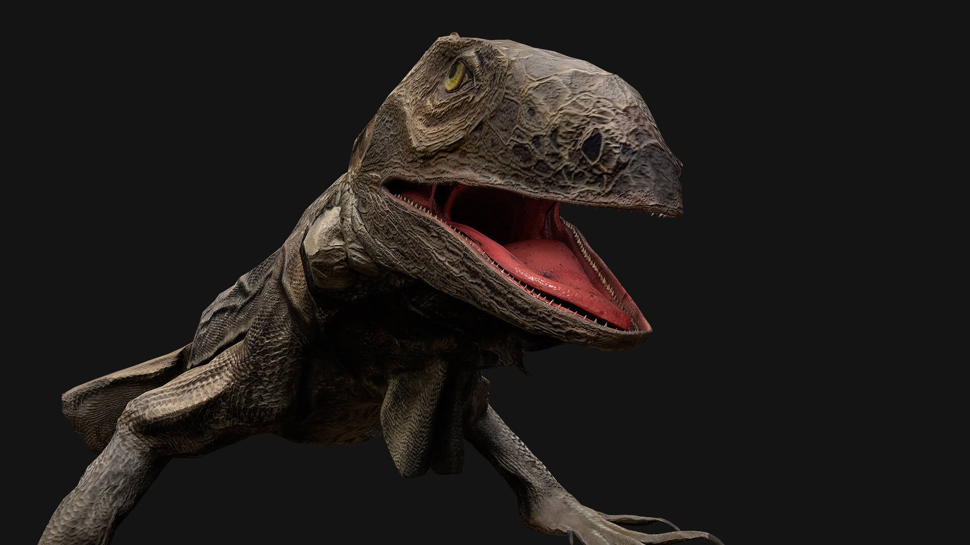 Reptiles Iguana and lizard - 3D Model by Dereza