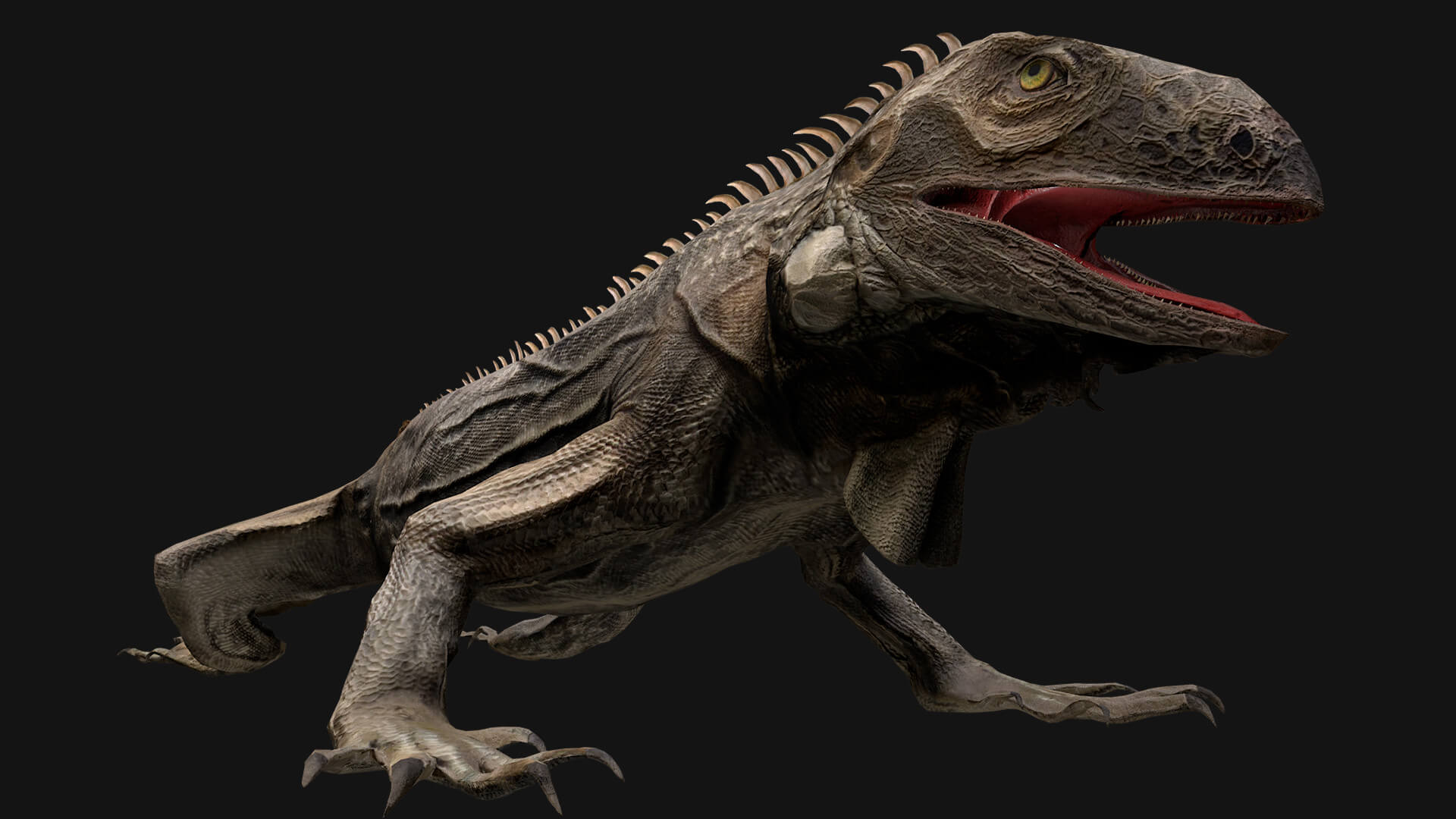 Reptiles Iguana and lizard - 3D Model by Dereza