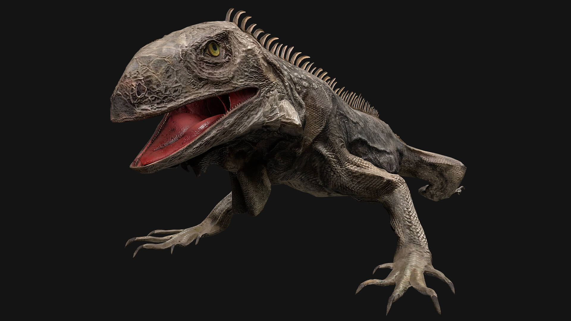 Reptiles Iguana and lizard - 3D Model by Dereza