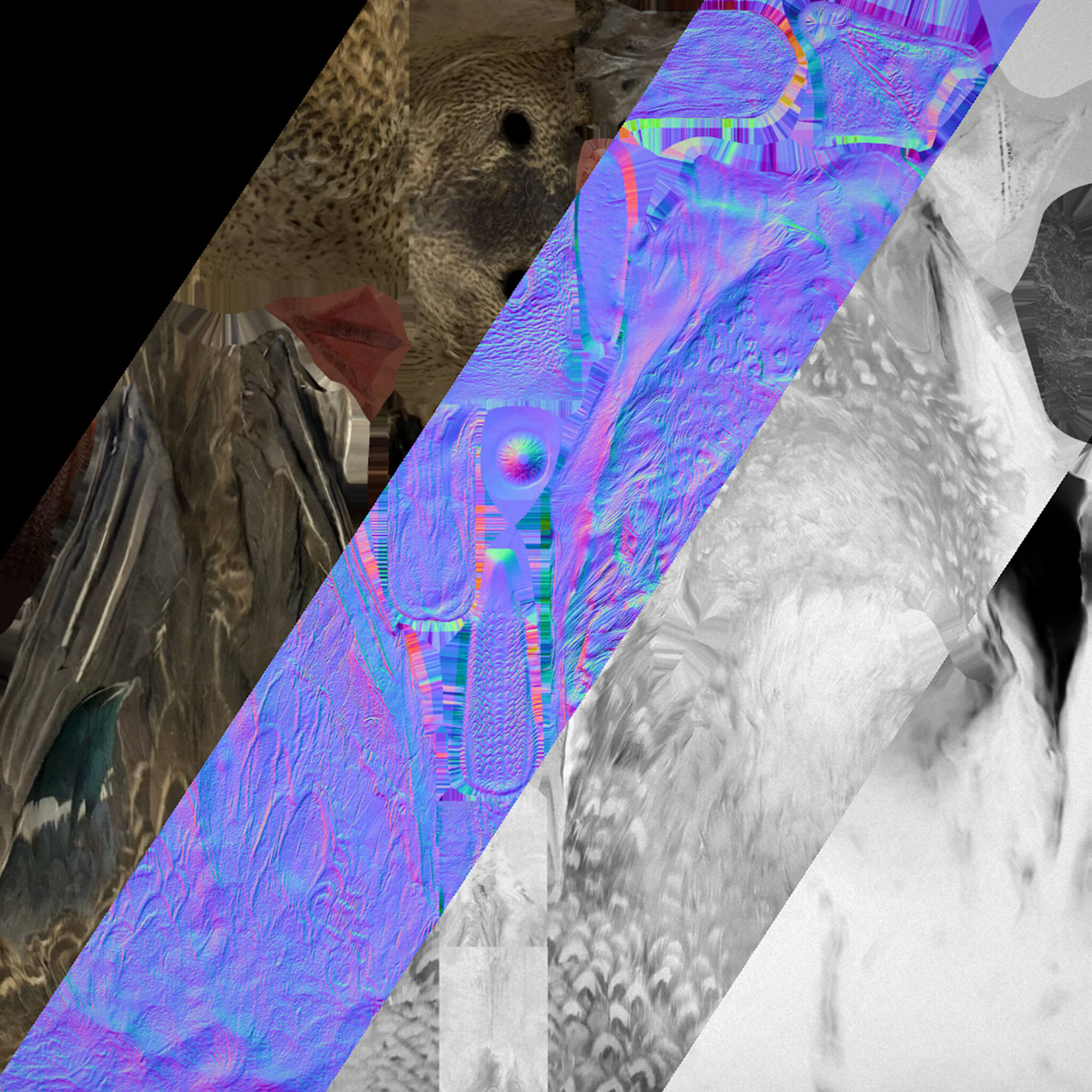 Swan and Ducks Birds Pack - 3D Model by Dereza