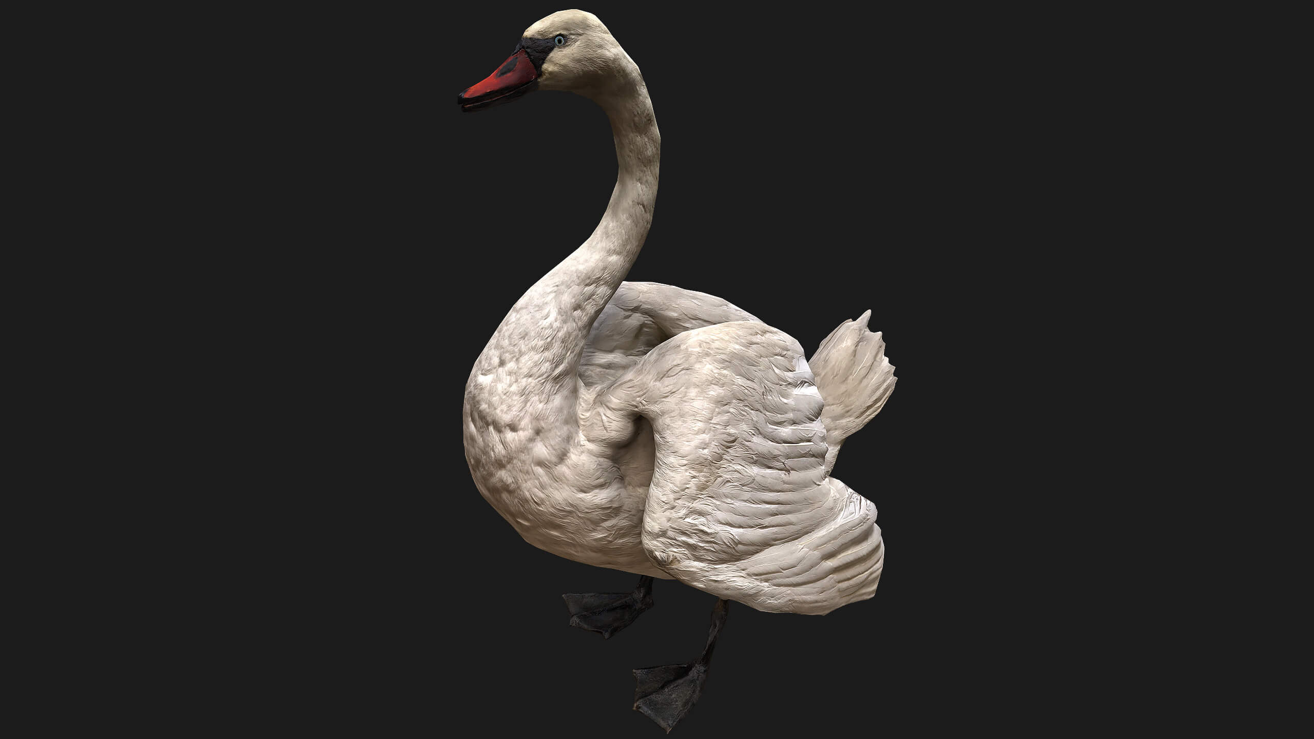Swan White Bird - 3D Model by Dereza