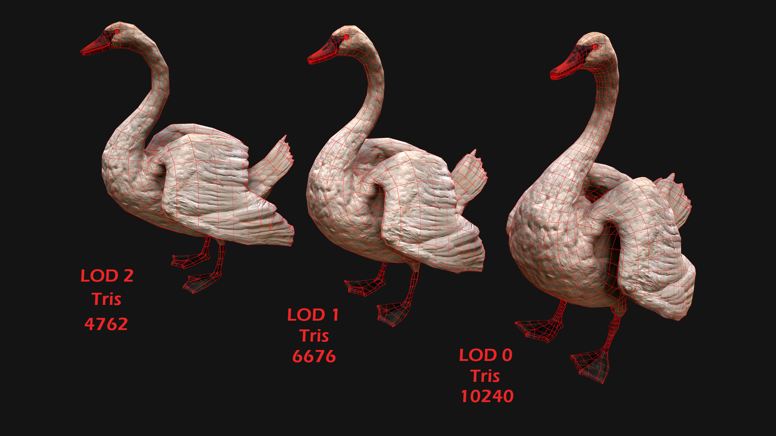 Swan White Bird - 3D Model by Dereza