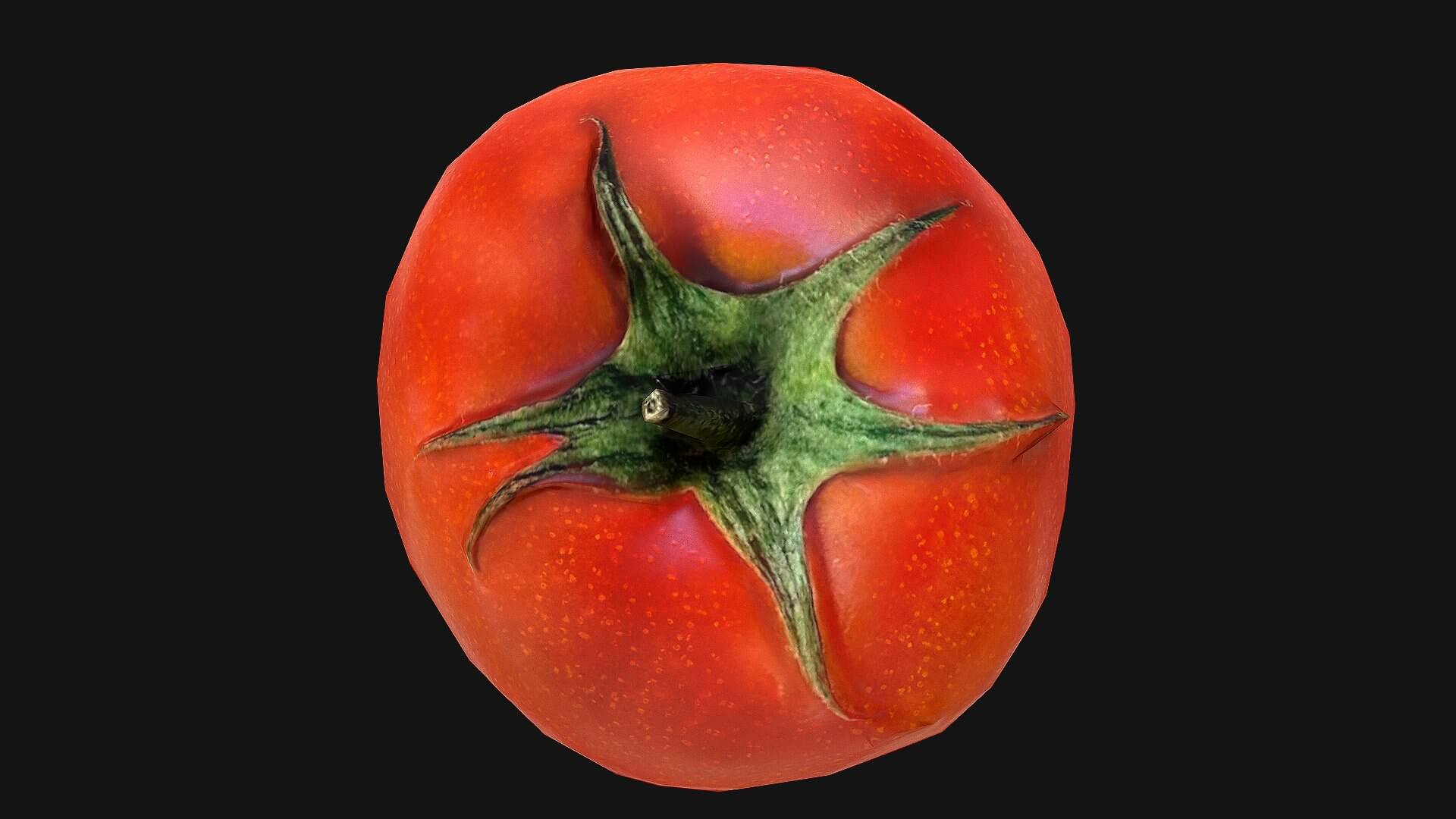 Tomatoes - 3D Model by Dereza