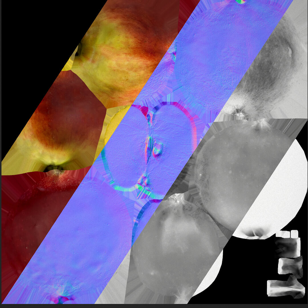 Trough With Water and Food Farm Feed Slop - 3D Model by Dereza