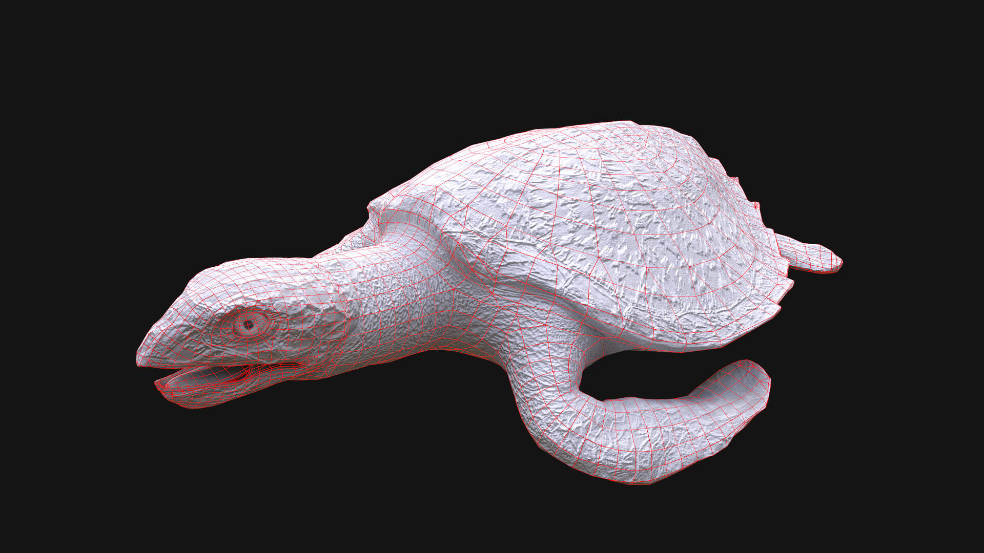 Turtle Reptile - 3D Model by Dereza