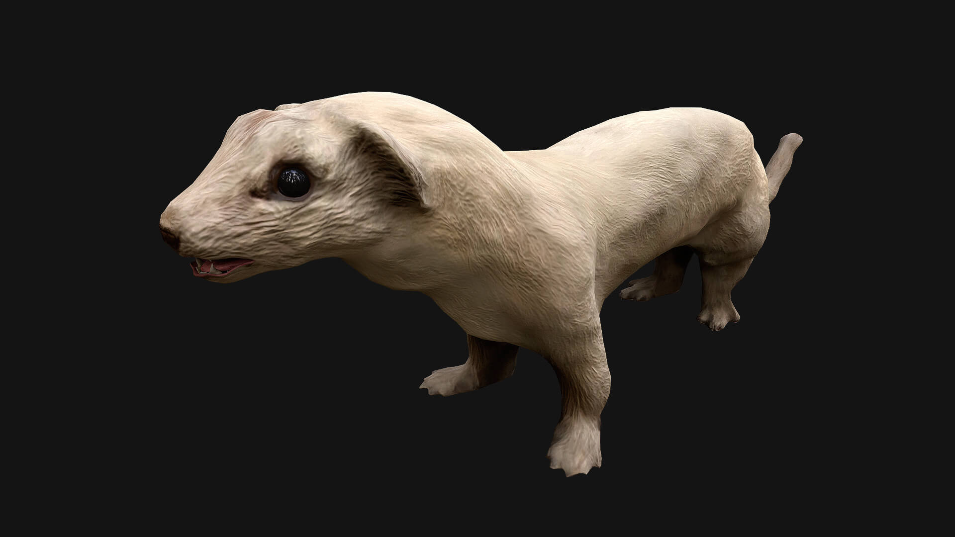Weasel Ermine - 3D Model by Dereza