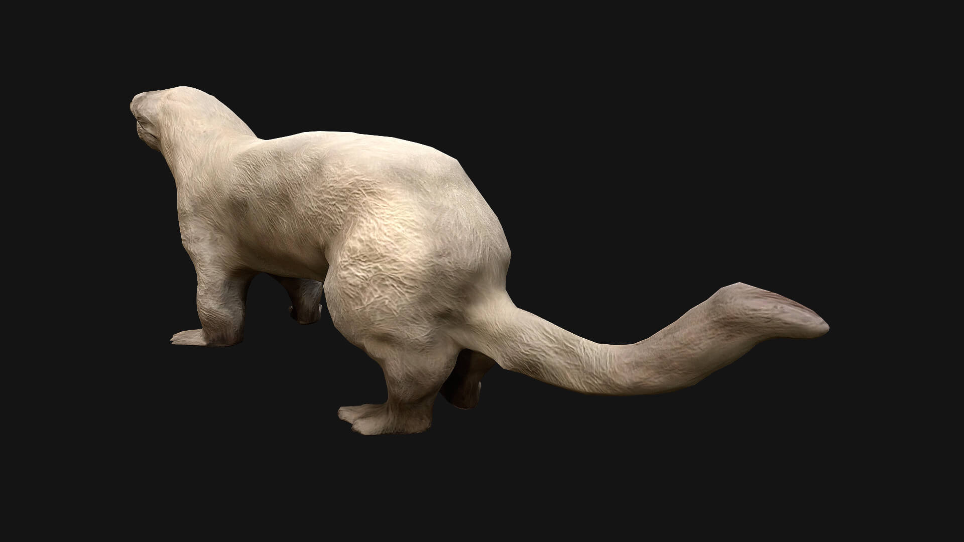 Weasel Ermine - 3D Model by Dereza