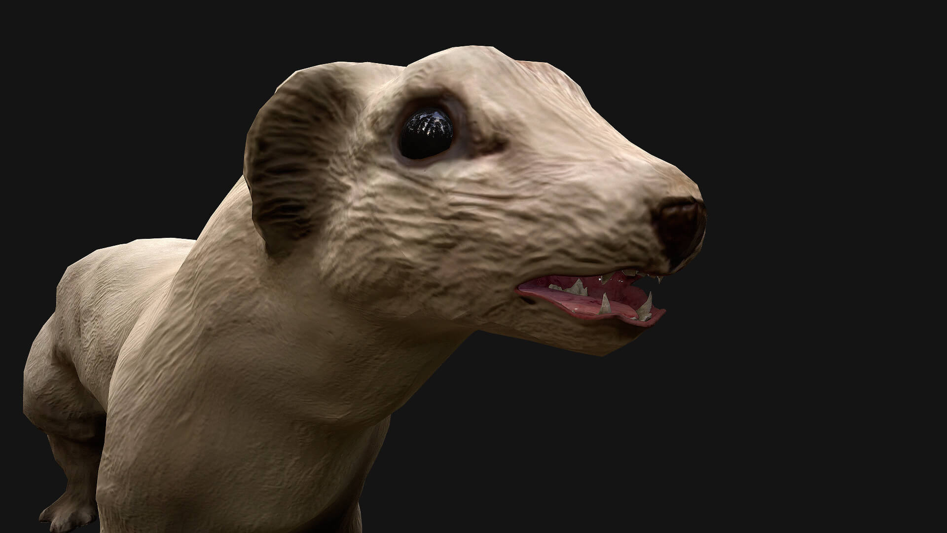 Weasel Ermine - 3D Model by Dereza