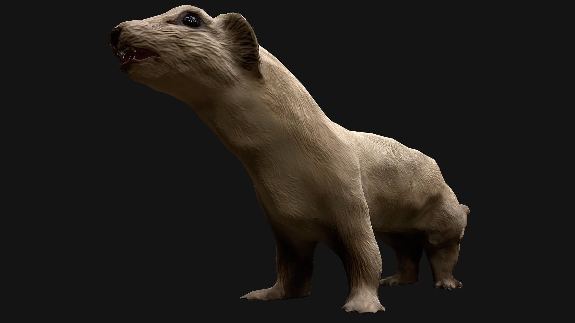 Weasel Ermine - 3D Model by Dereza